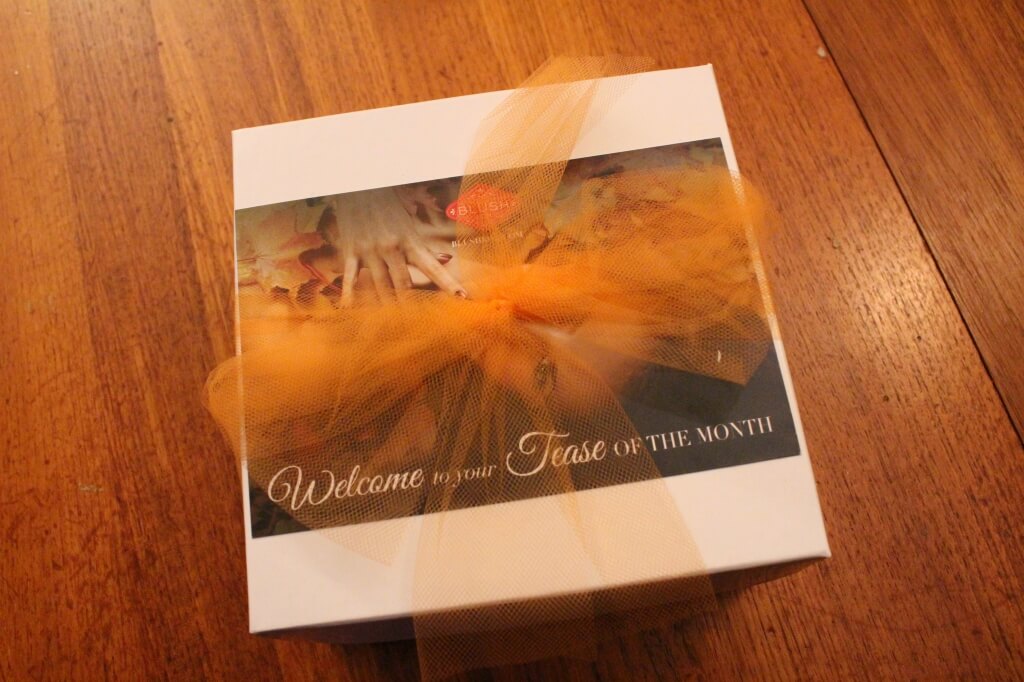 November BlushBox Teaser Box Review - Adult Subscription Box - Hello ...