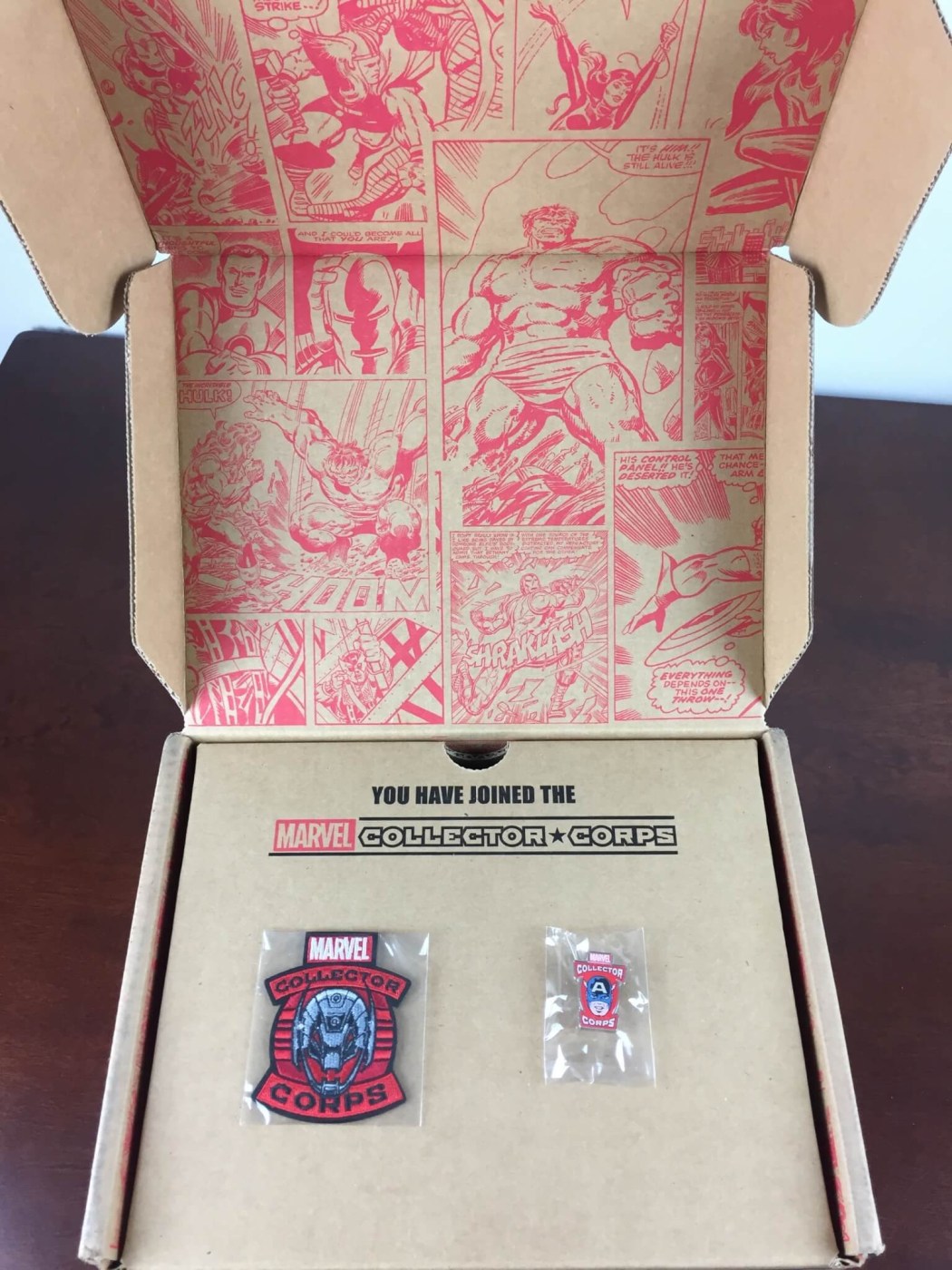 Marvel Collector Corps Subscription Box Review - April 2015 - Hello ...