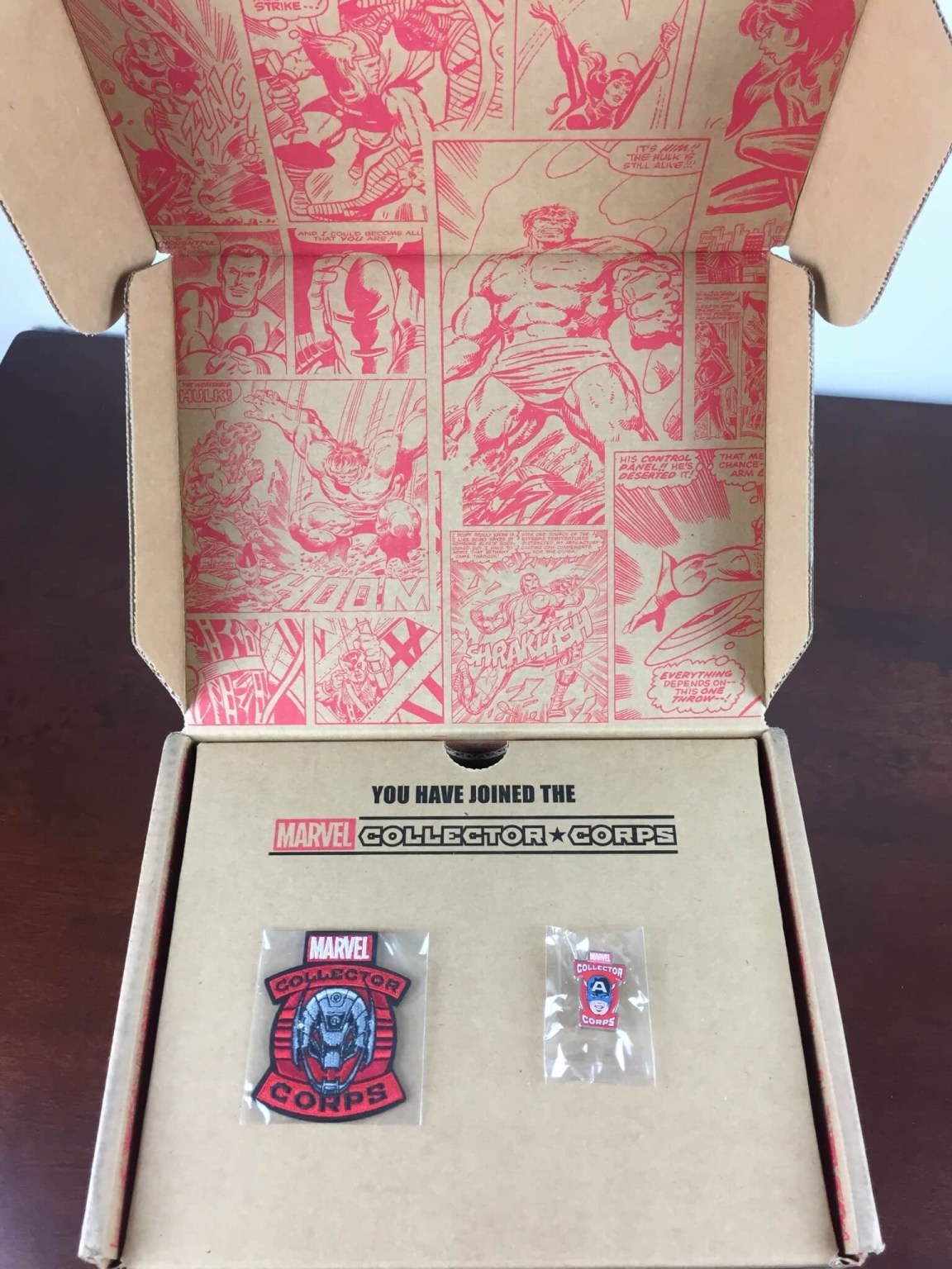 Marvel Collector Corps Subscription Box Review - April 2015 - Hello ...