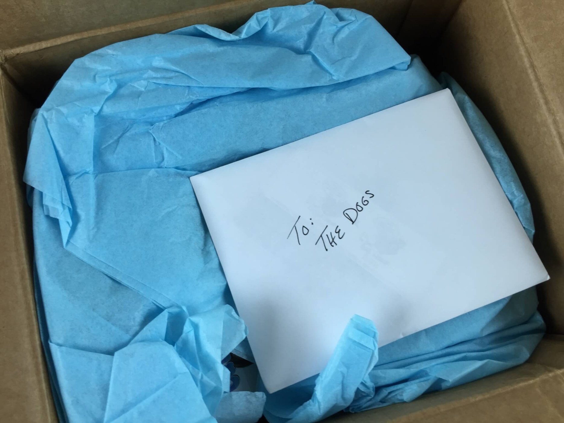Box Furr You Subscription Box Review - June 2015 - Hello Subscription