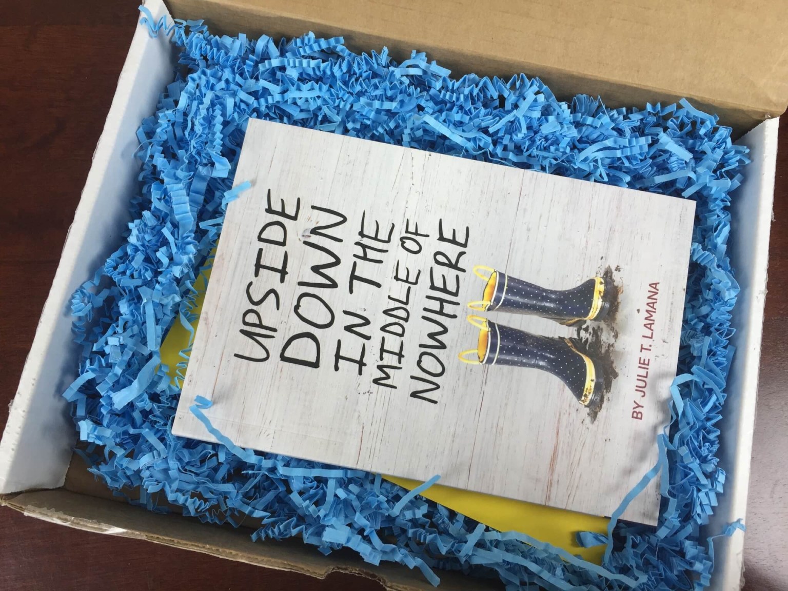 The Book Drop Book Subscription Box Review - August 2015 Children's ...