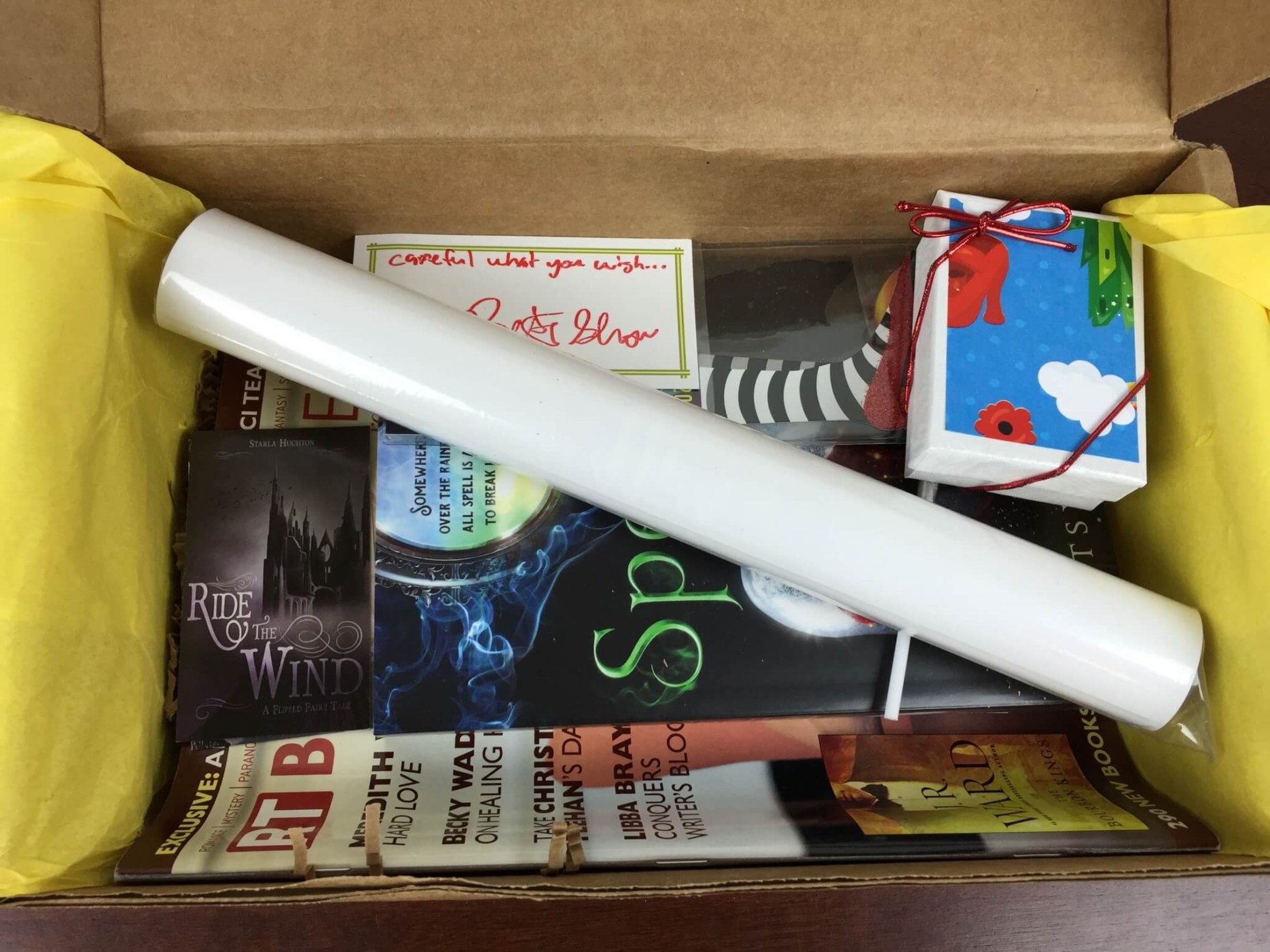 August 2015 Lit-Cube Book Subscription Box Review - Hello Subscription