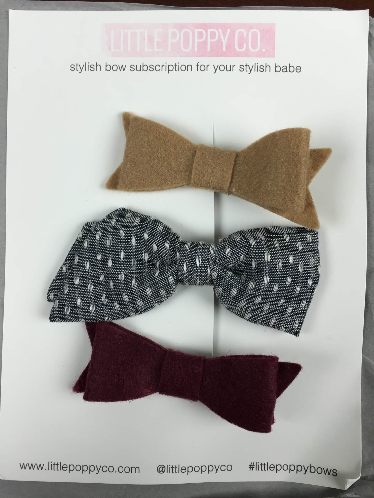 Little Poppy Co. Bow Subscription Review & Coupon - September 2015 ...