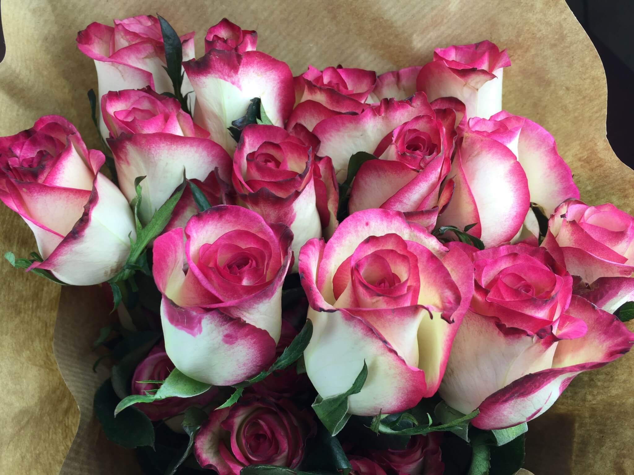 BloomsyBox Flower Subscription Box Review & Coupon - Hello Subscription