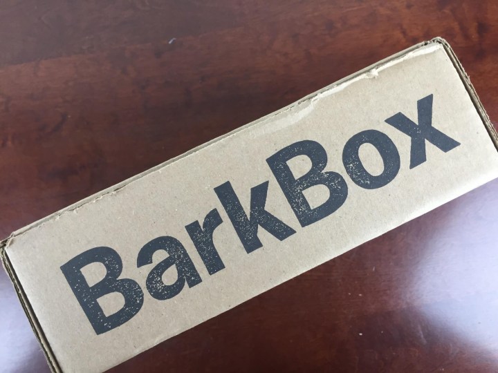 Barkbox November 2015 Subscription Box Review + Coupon Code - Hello ...