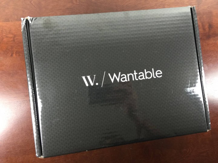 Wantable Intimates November 2015 Subscription Box Review - Hello ...