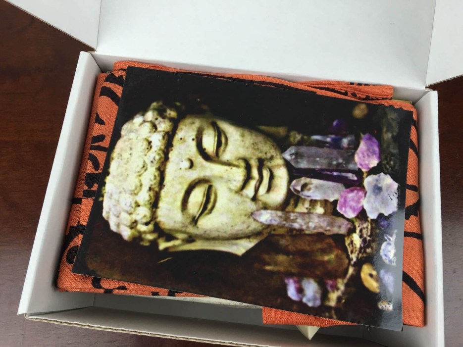 WEvolve Box Reviews: Get All The Details At Hello Subscription!