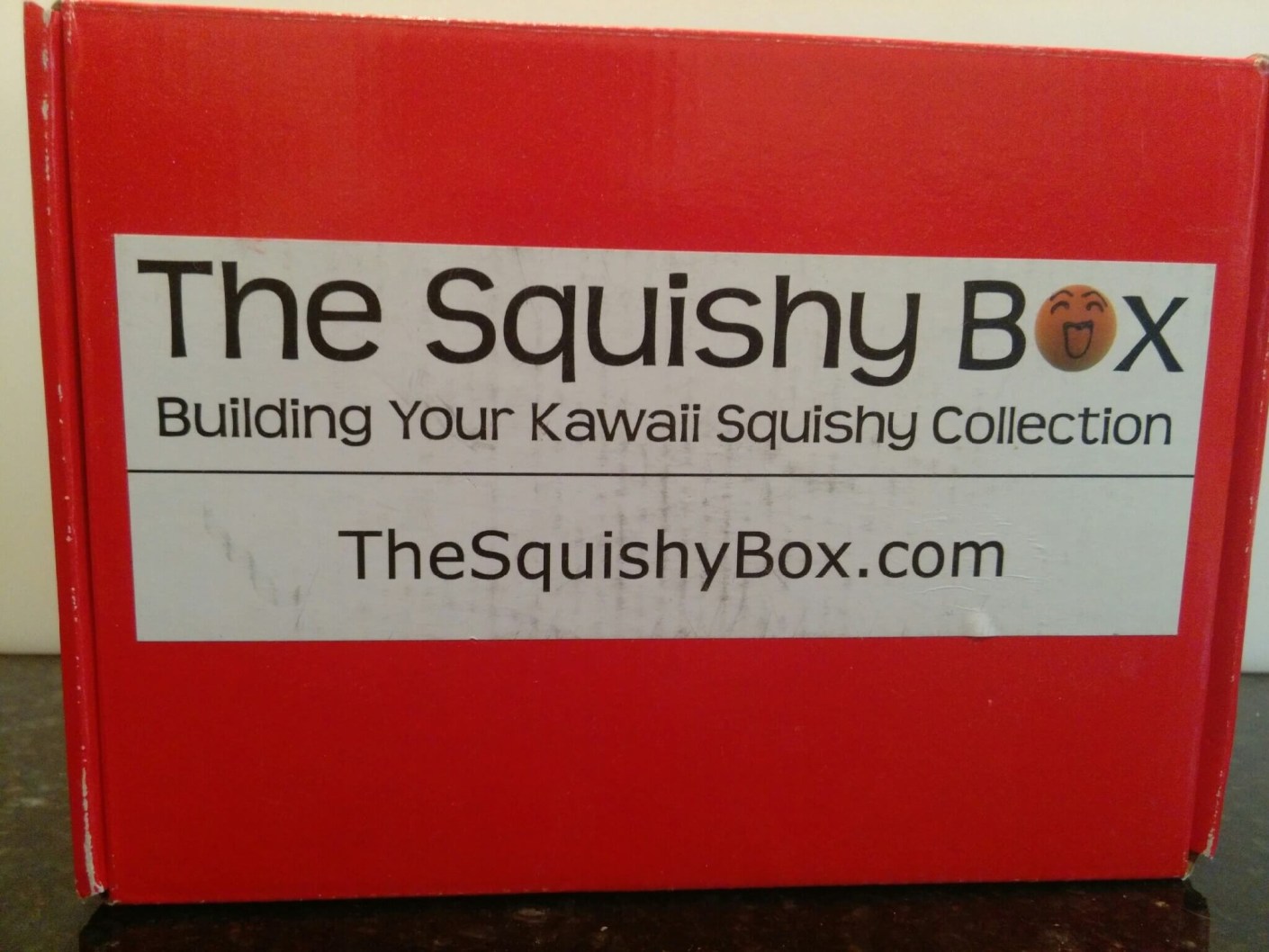 The Squishy Box Subscription Review - January 2016 - Hello Subscription