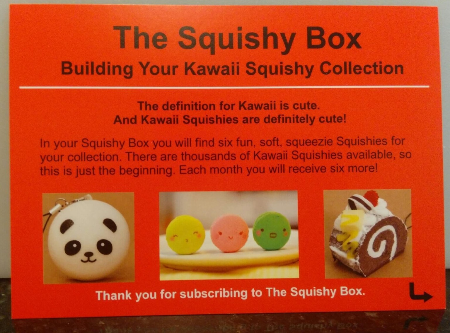 The Squishy Box Subscription Review - January 2016 - Hello Subscription