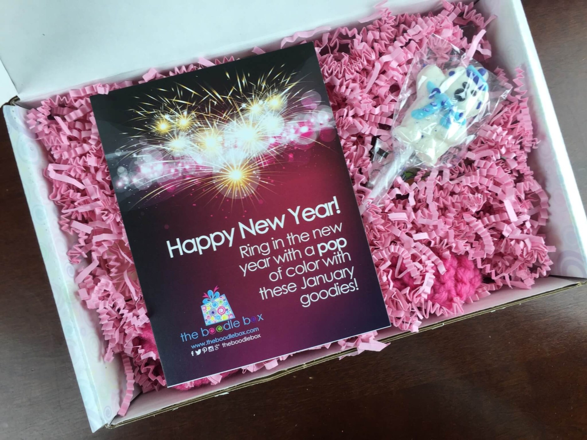 Boodle Box January 2016 Subscription Box Review - Hello Subscription