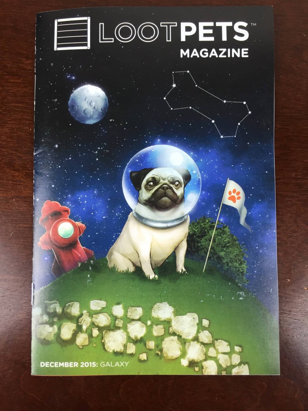 Loot Pets December 2015 Subscription Box Review - Hello Subscription