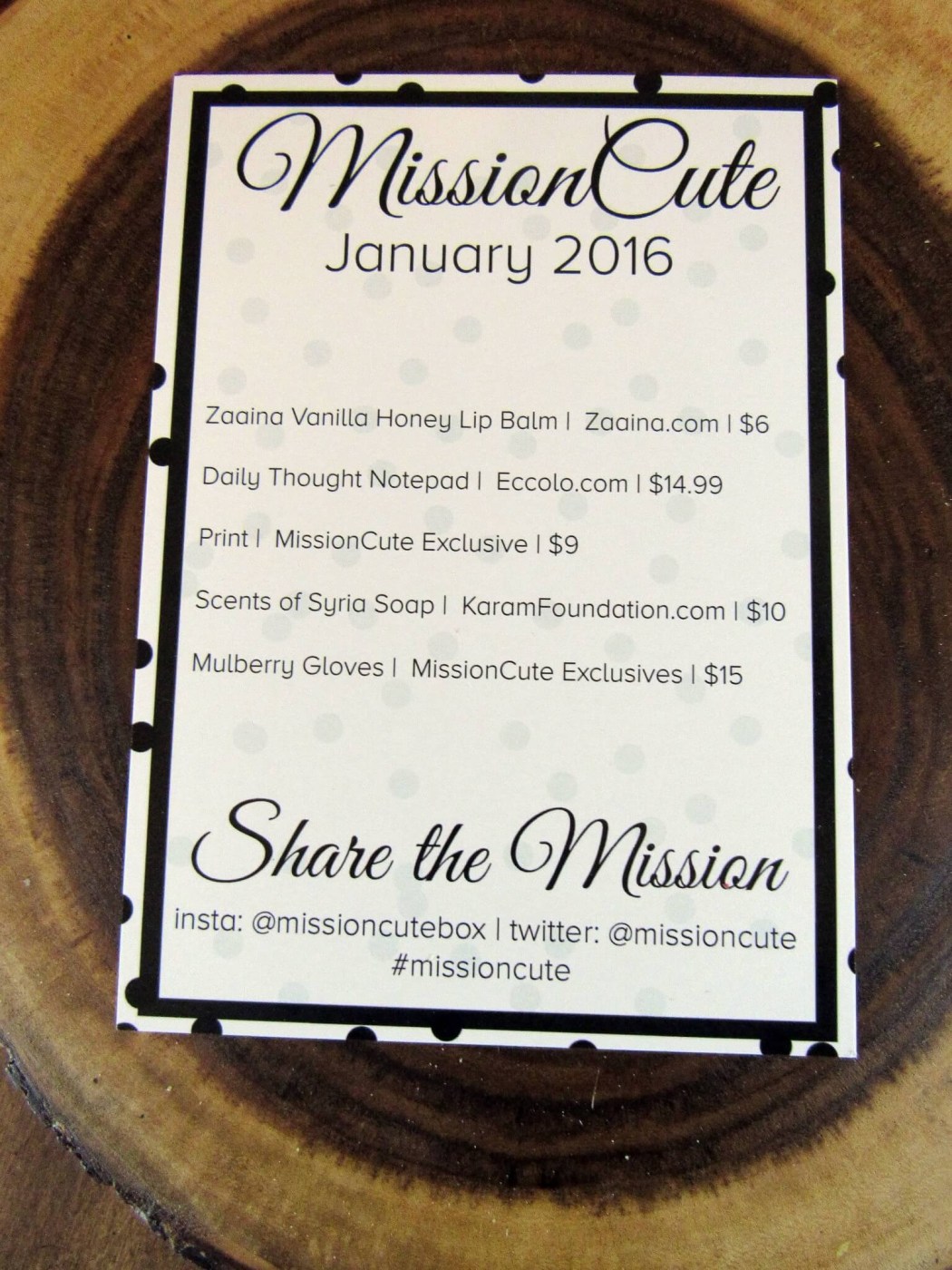 Mission Cute January 2016 Subscription Box Review - Hello Subscription