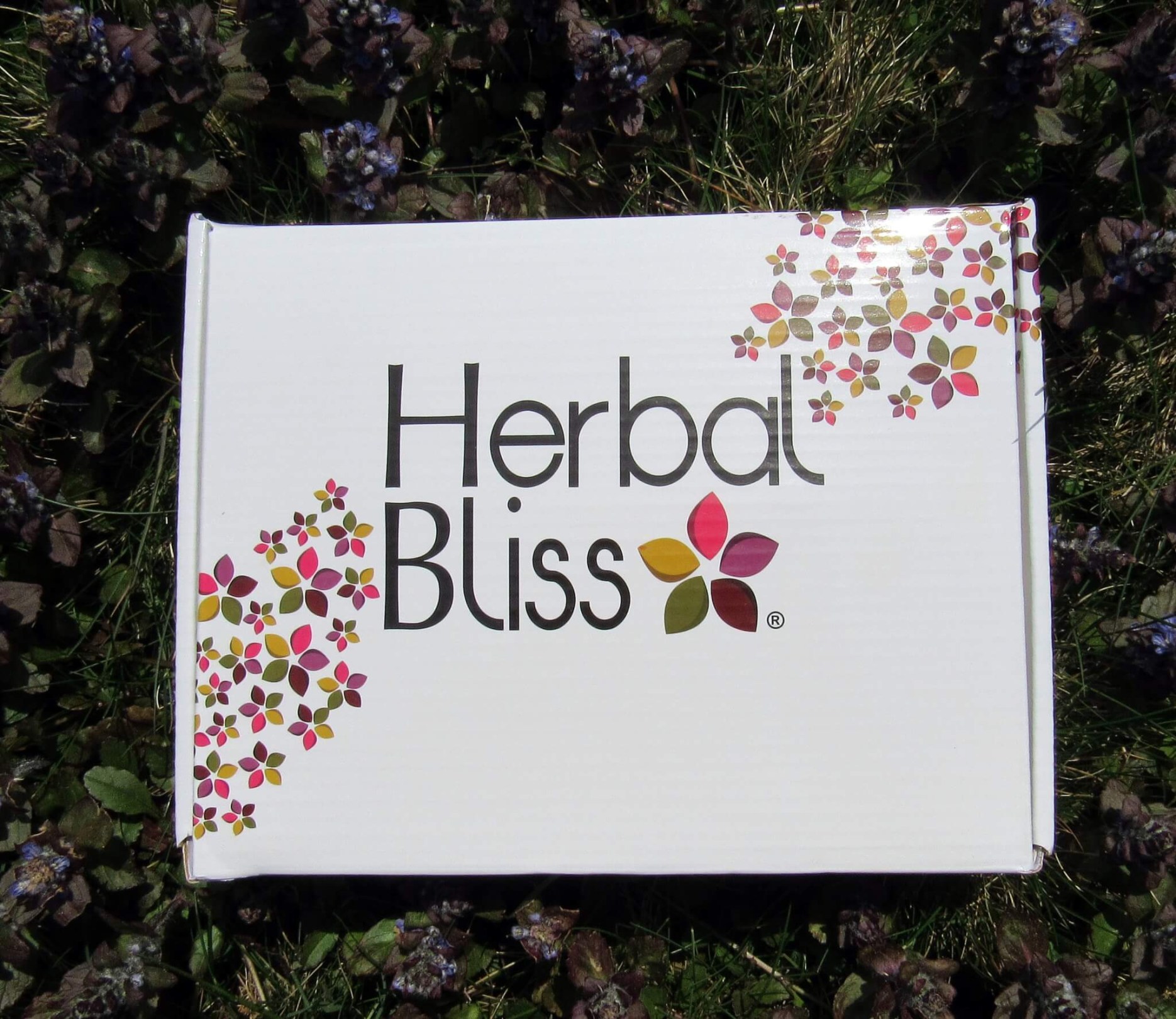 Herbal Bliss Subscription Box Review - April 2016 - Hello Subscription