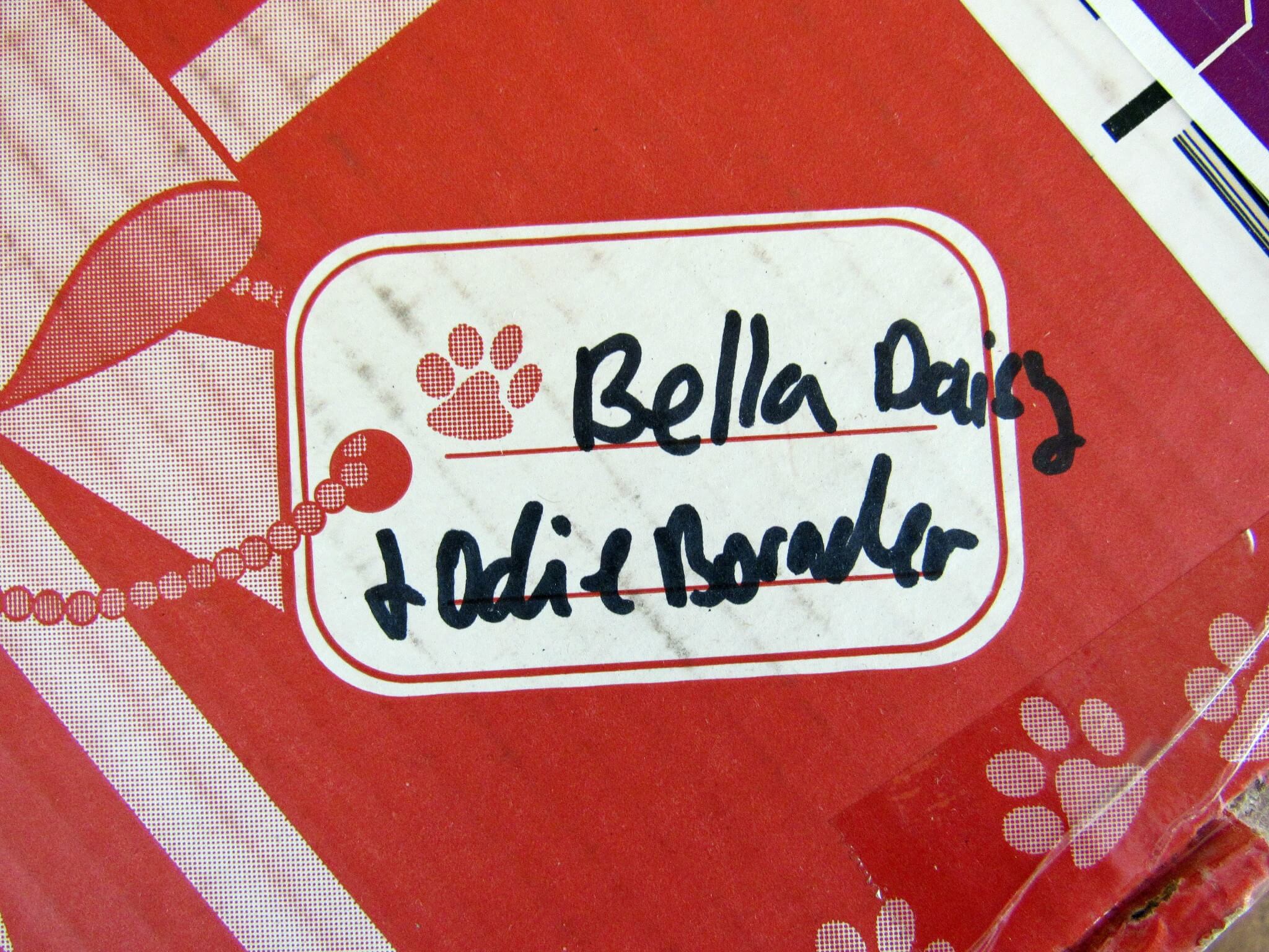 April 2016 PetGiftBox Dog Subscription Box Review + 50% Off Coupon ...