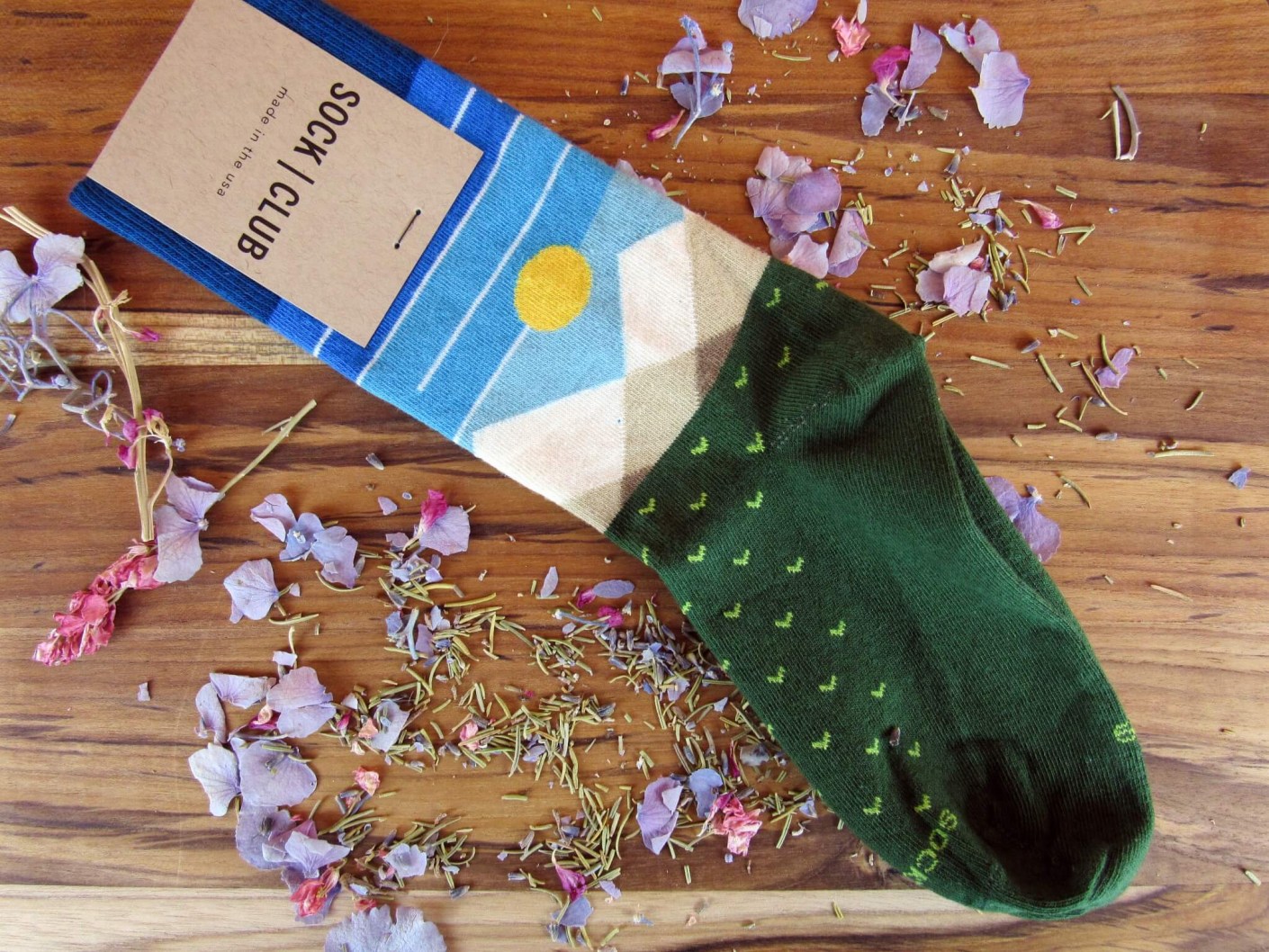 Sock Club Subscription Review - April 2016 - Hello Subscription