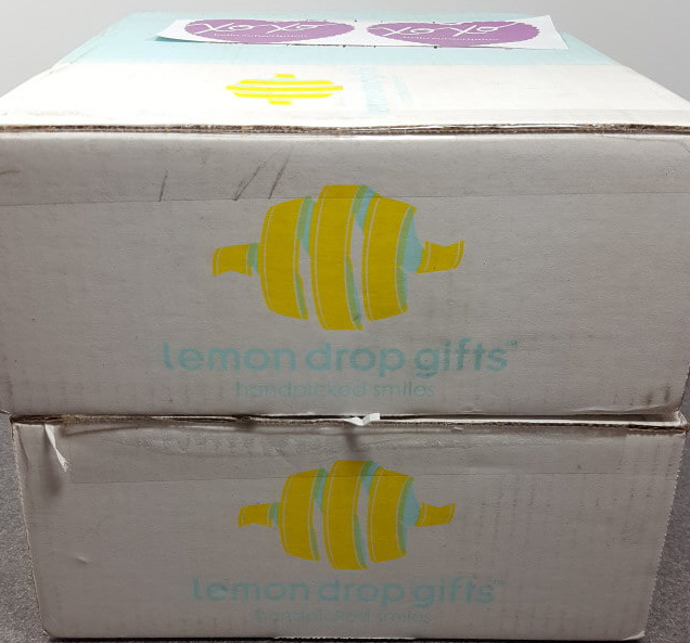 Lemon Drop Box April 2016 Subscription Box Review & Coupon - Hello ...