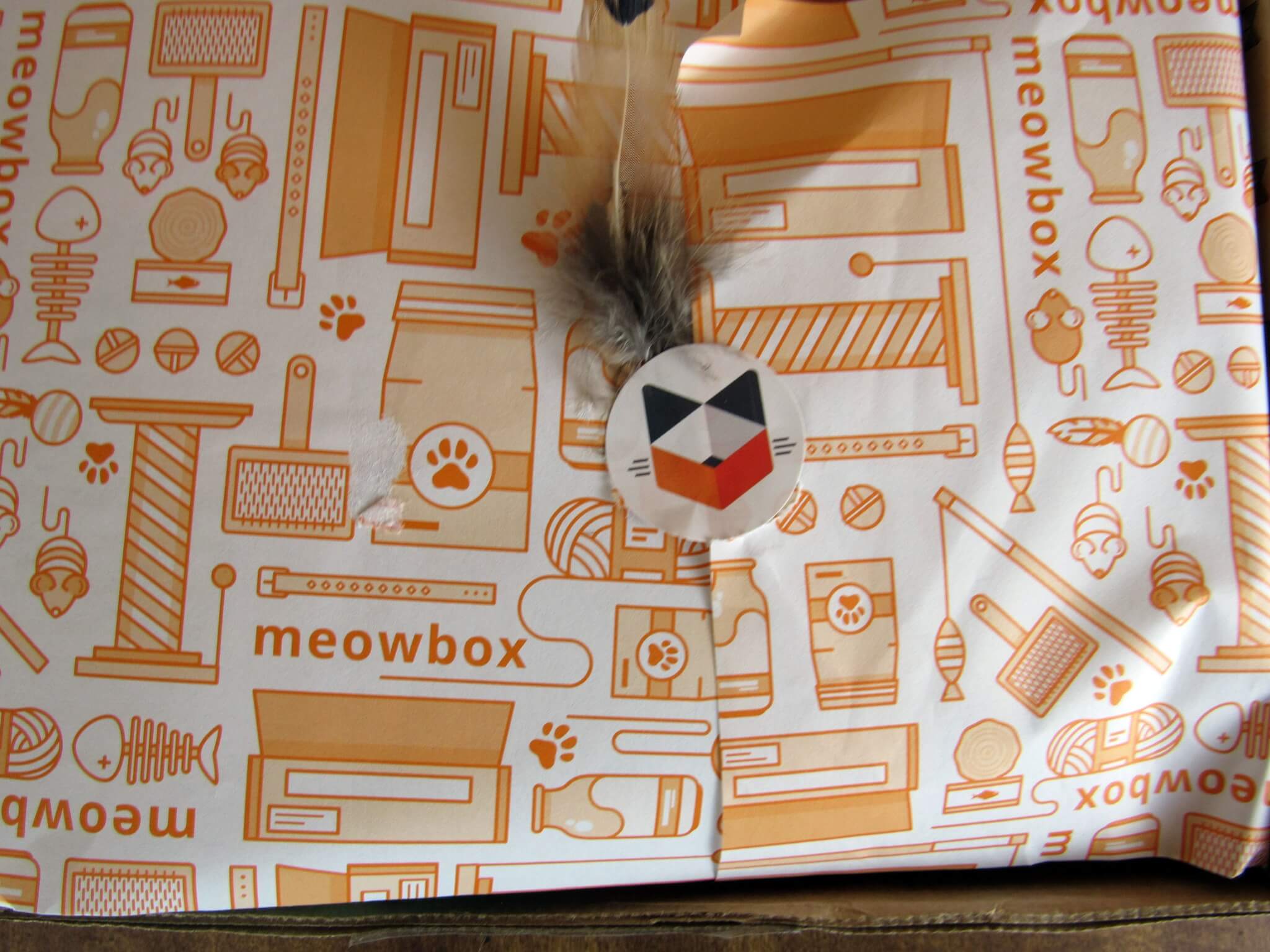 May 2016 Meowbox Subscription Box Review & Coupon - Hello Subscription