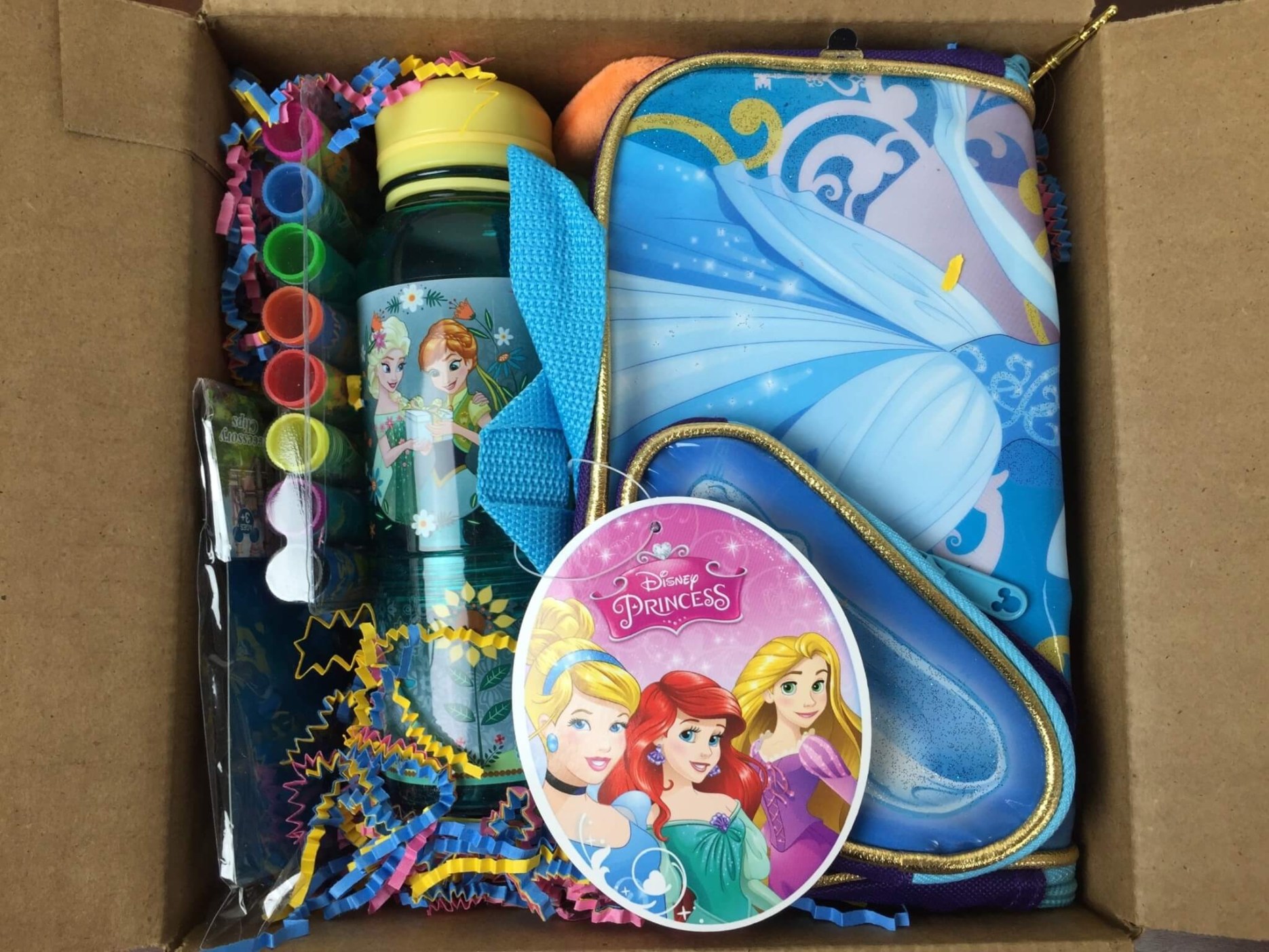 Mickey Monthly Subscription Box Review - May 2016 - Hello Subscription