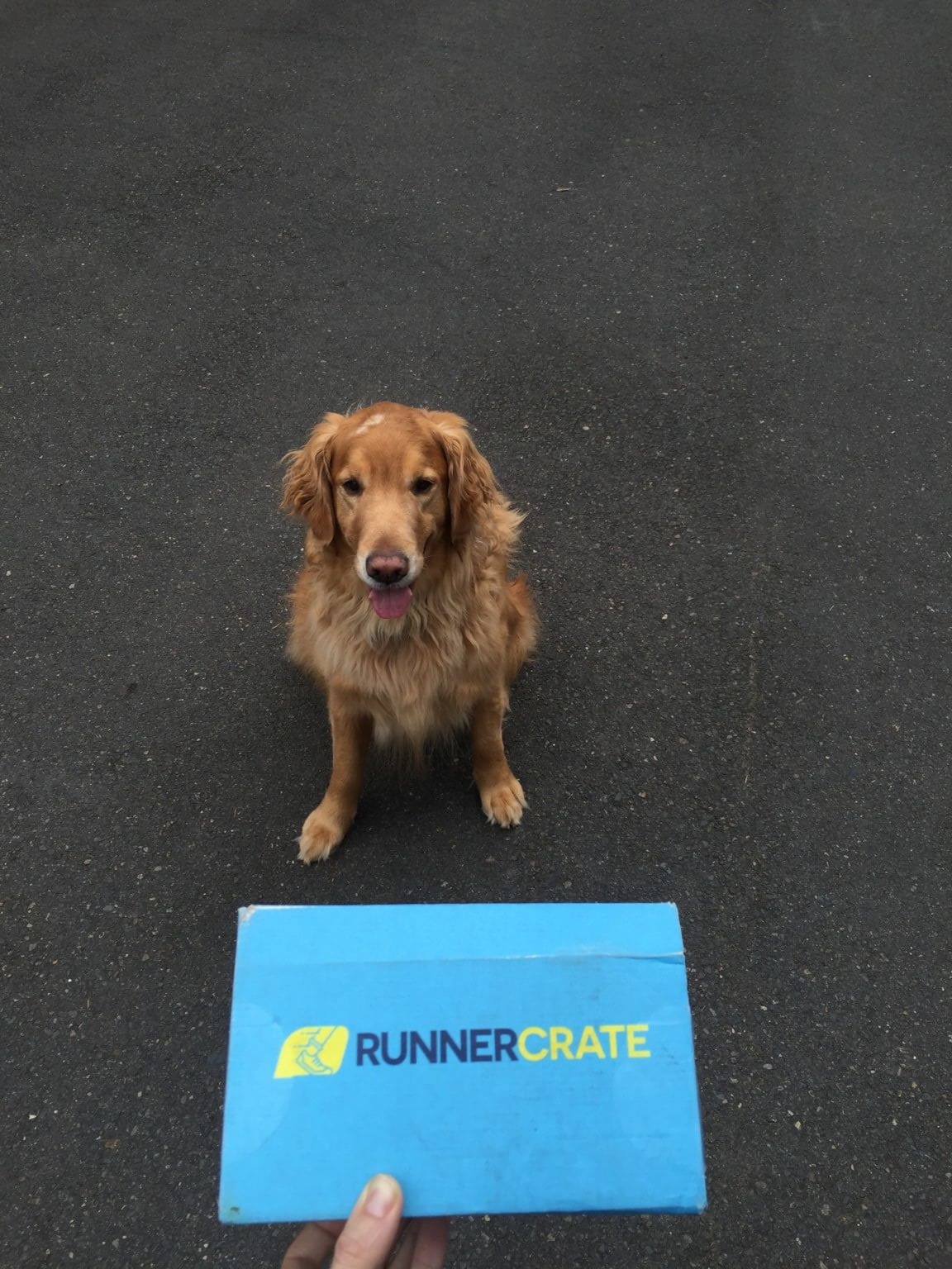 RunnerCrate Subscription Box Review & Coupon - April 2016 - Hello ...