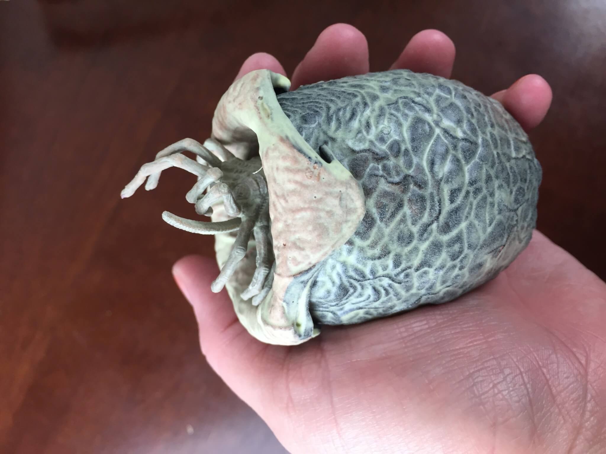 Loot Crate ALIENS Limited Edition Crate Review - Hello Subscription