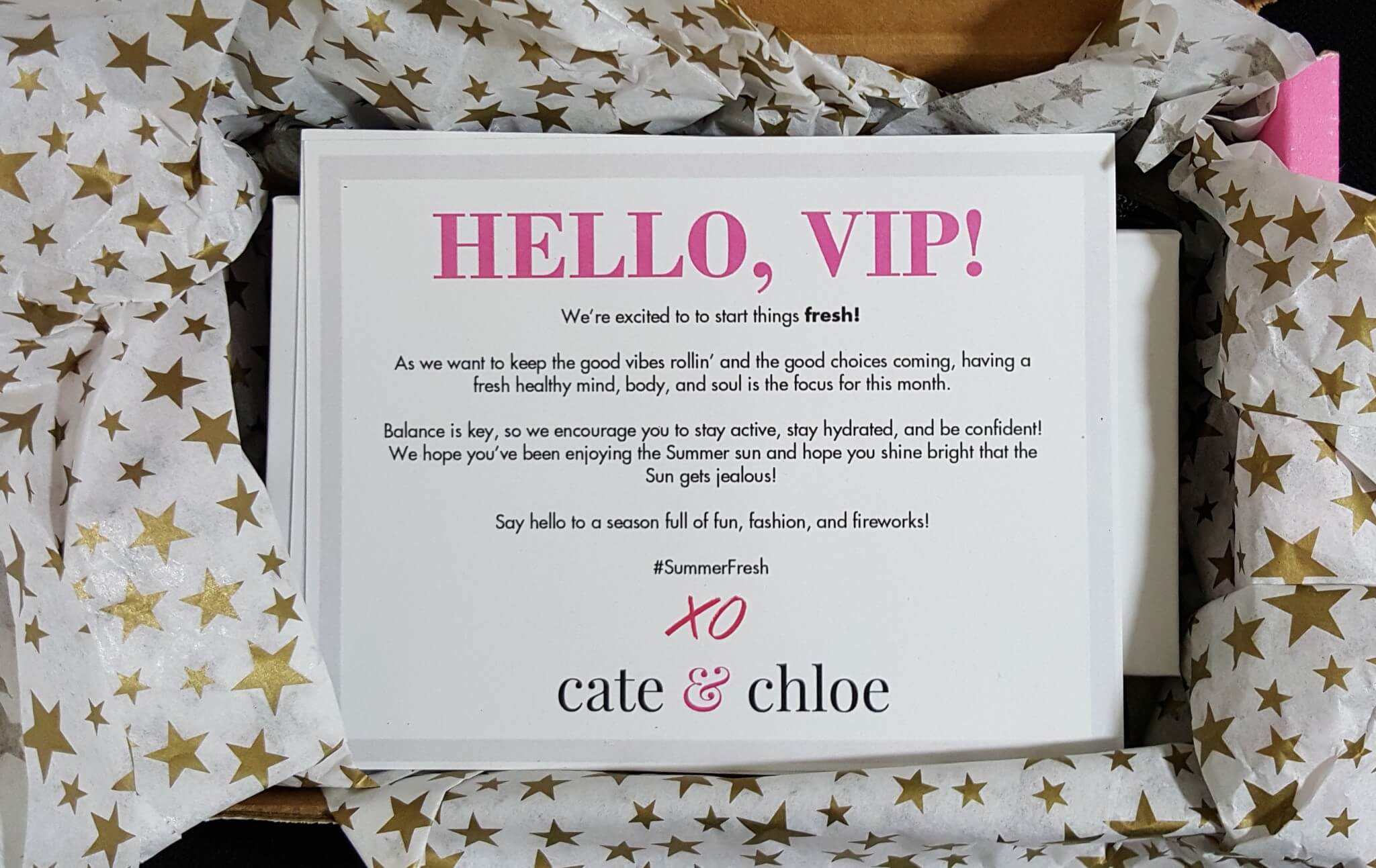 Cate & Chloe VIP Jewelry Subscription Box Review - July 2016 - Hello ...