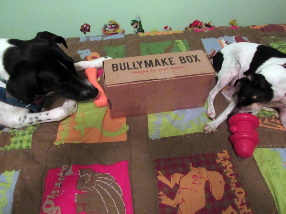 BullyMake Subscription Box Review - May 2016 - hello subscription