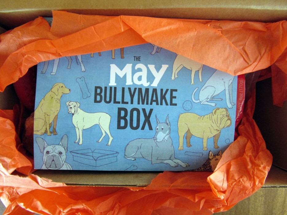 BullyMake Subscription Box Review - May 2016 - Hello Subscription