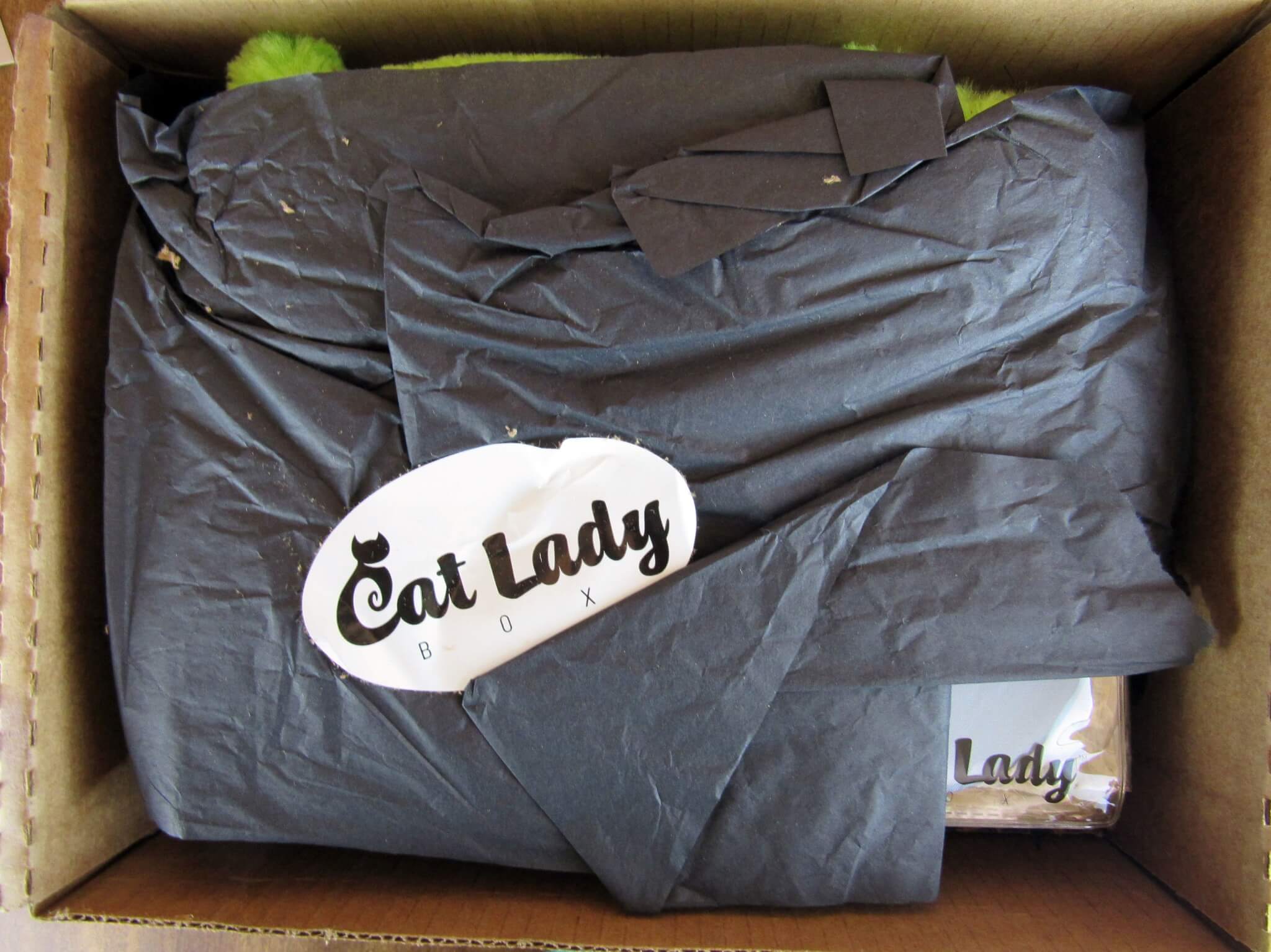 Cat Lady Box June 2016 Subscription Box Review - Hello Subscription