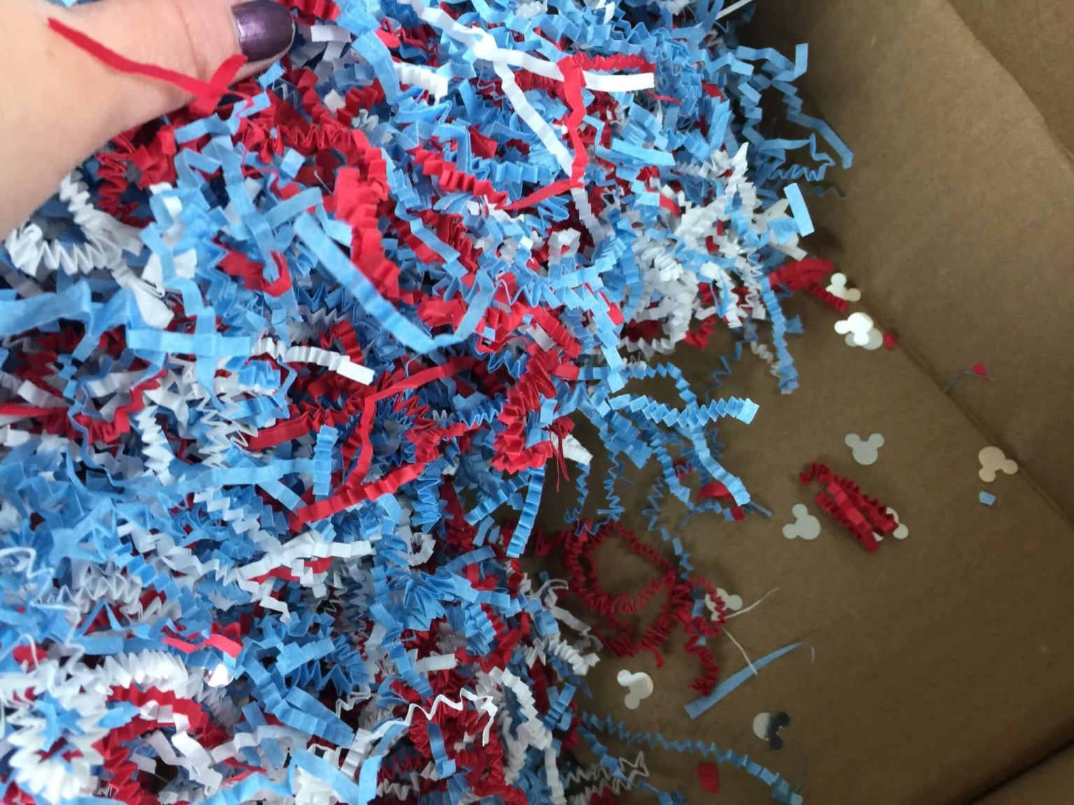 Mickey Monthly Subscription Box Review - June 2016 - Hello Subscription