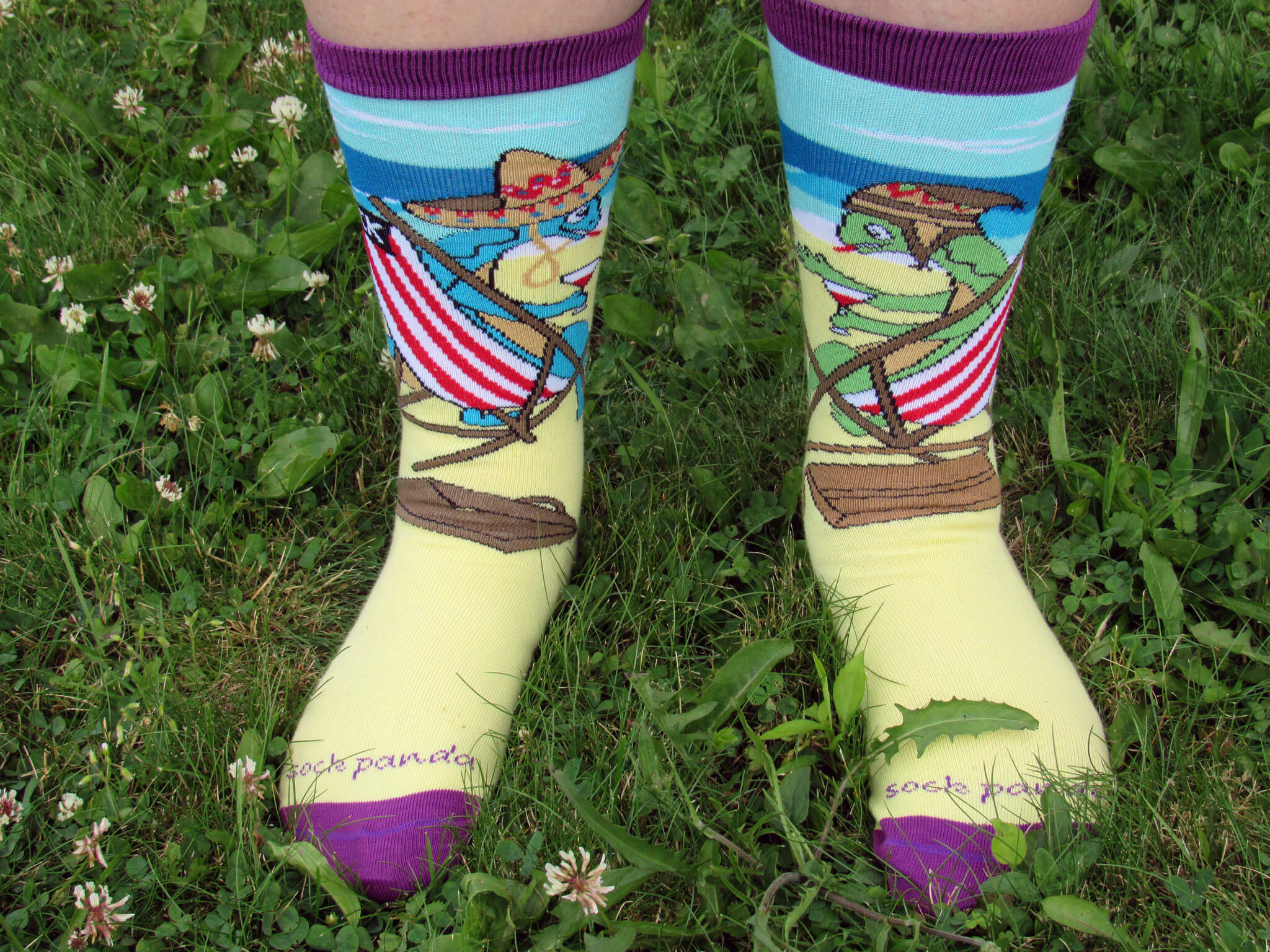 Sock Panda Sock June 2016 Subscription Review + Coupon - Hello Subscription