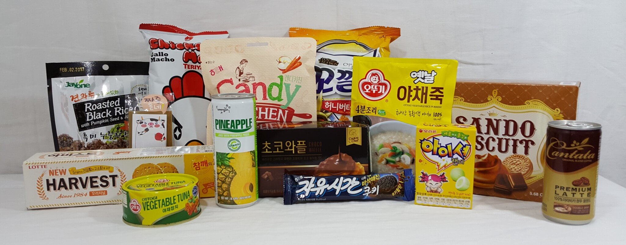 June 2016 Snack Fever Subscription Box Review + Coupon - Deluxe Box ...