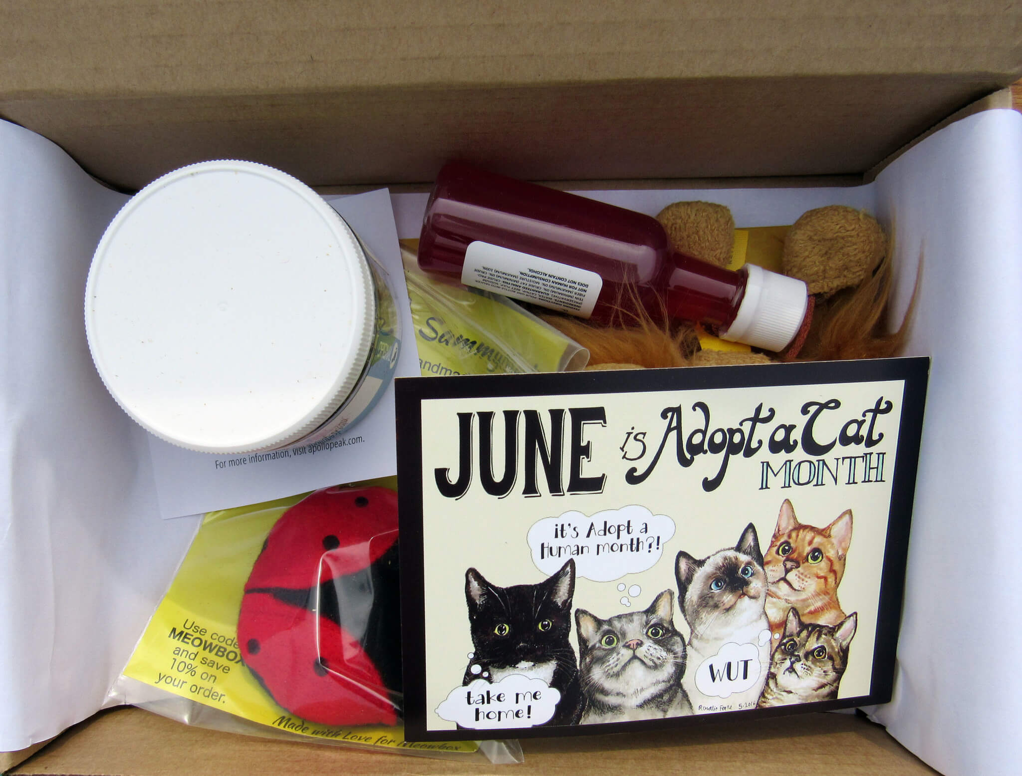 June 2016 Meowbox Subscription Box Review & Coupon - Hello Subscription