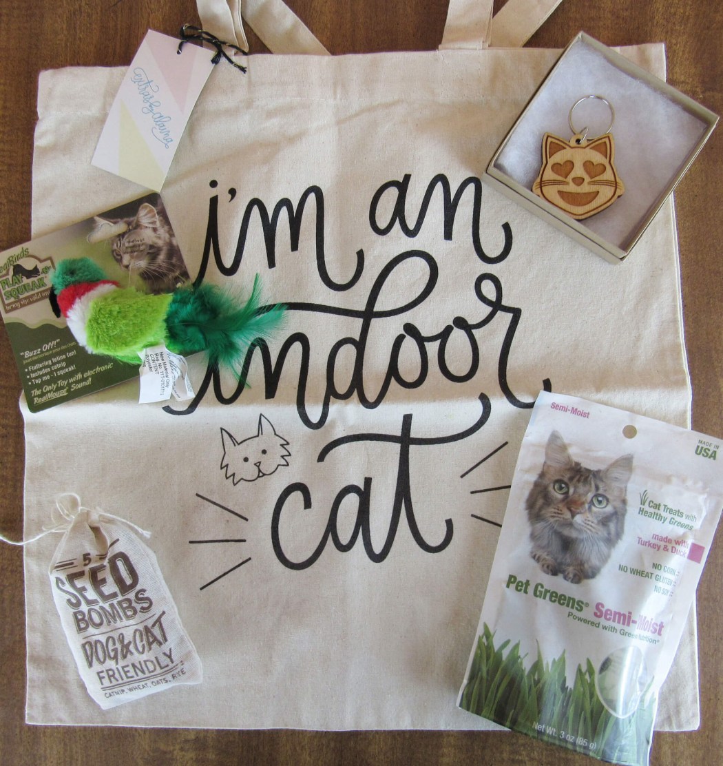The Cat Kit Subscription Box Review + Coupon - July 2016 - Hello ...