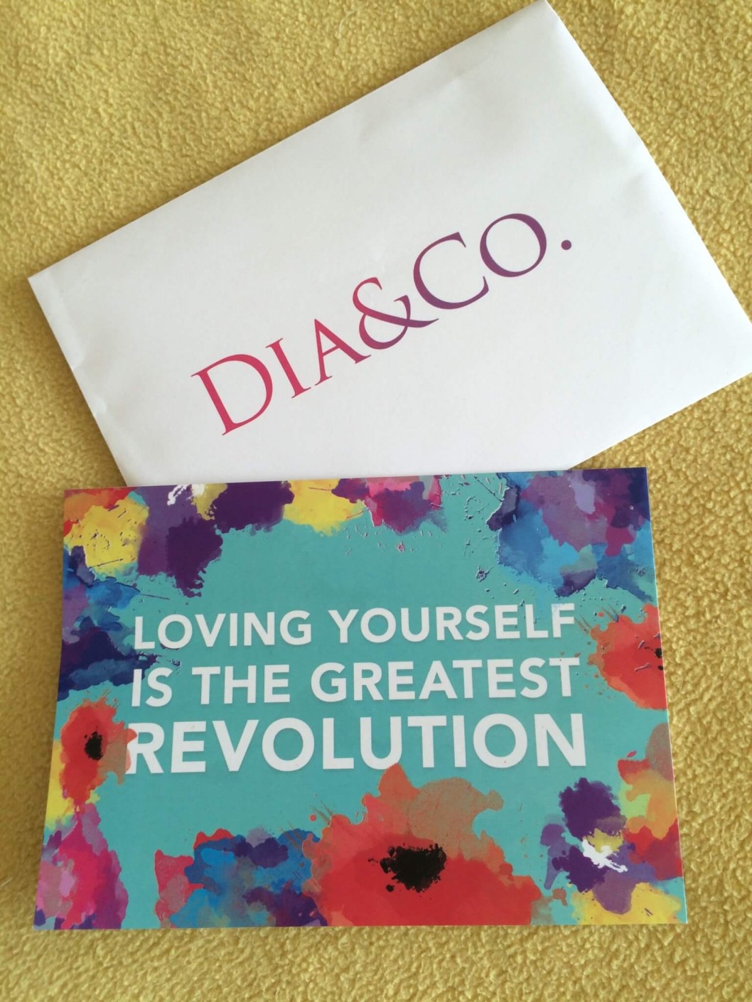 Dia & Co Subscription Box Review - July 2016 - Hello Subscription