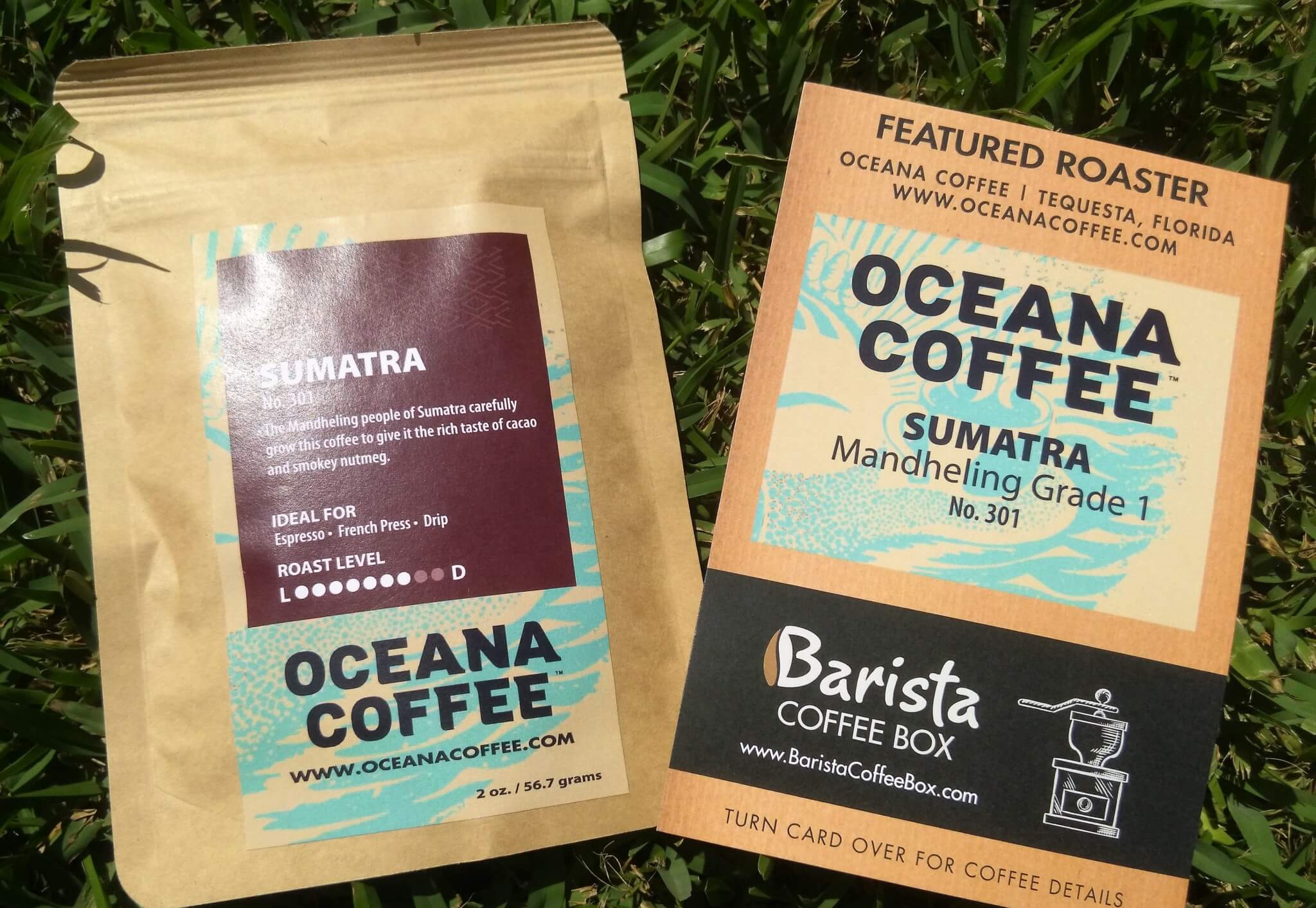 Barista Coffee Subscription Box Review- August 2016 - Hello Subscription