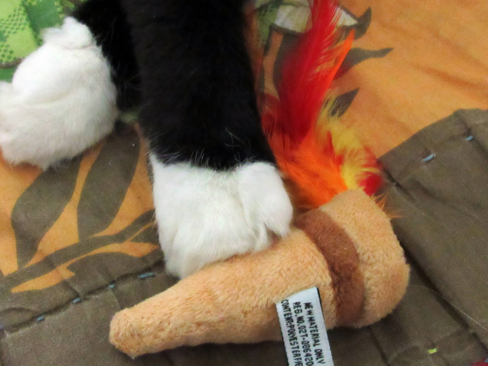 Cat Lady Box August 2016 Subscription Box Review - hello subscription