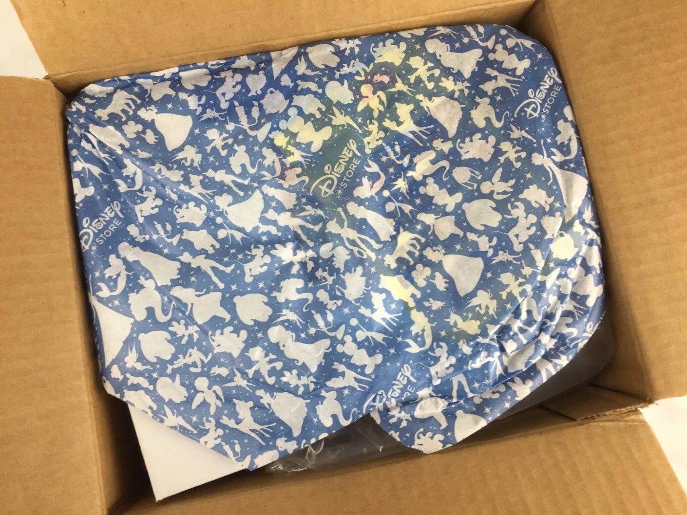 Disney Park Pack Holiday Edition August 2016 Subscription Box Review ...