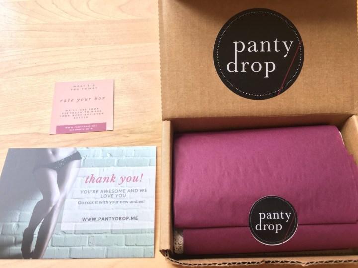 Panty Drop August 2016 Subscription Box Review & Coupon - Hello ...