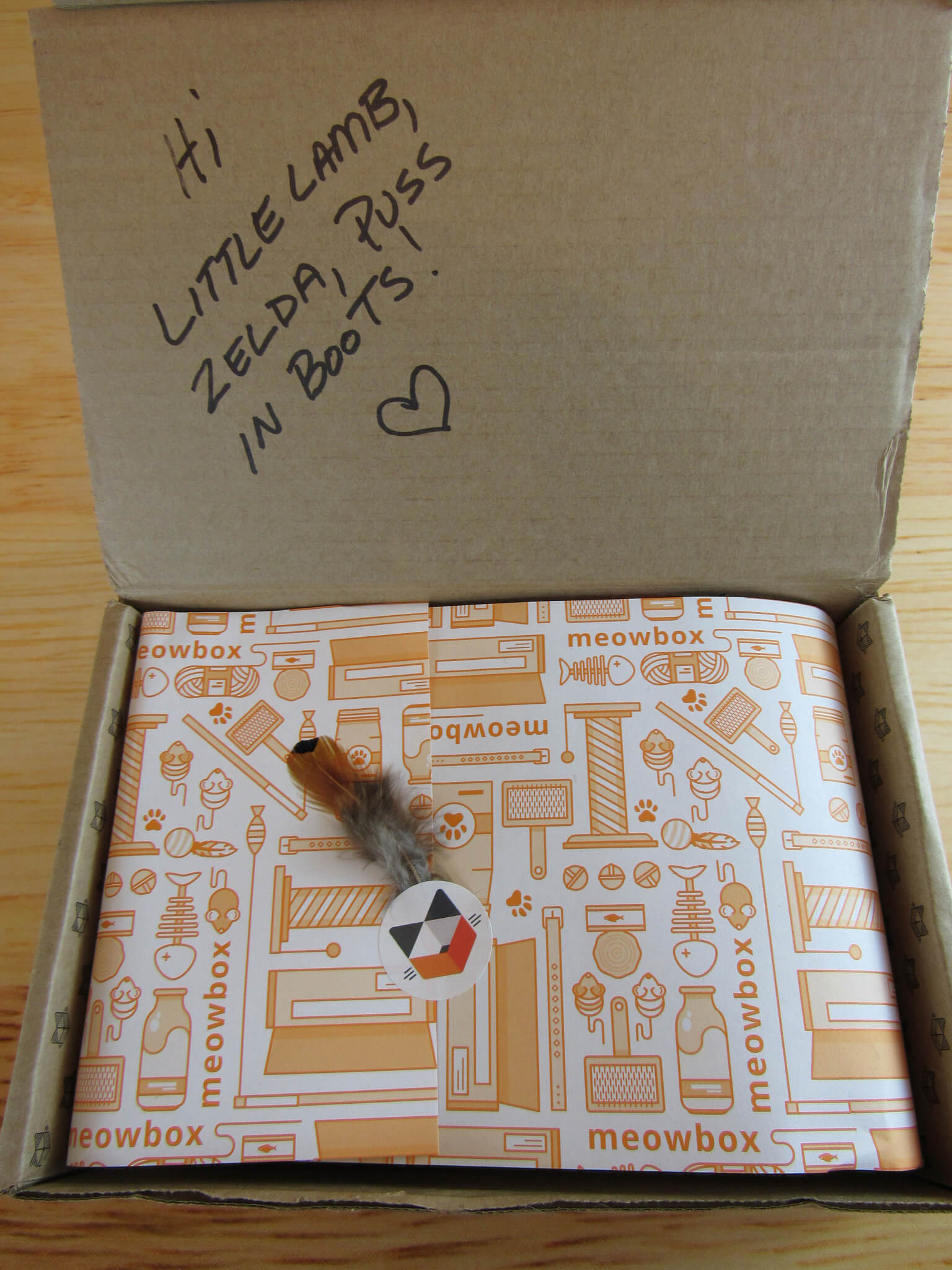 August 2016 Meowbox Subscription Box Review & Coupon - Hello Subscription