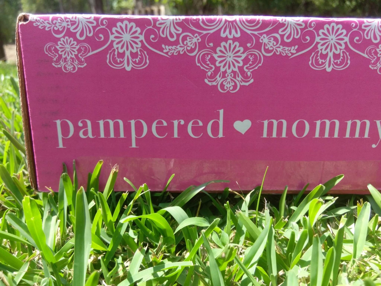 Pampered Mommy September 2016 Subscription Box Review & Coupon - Hello ...
