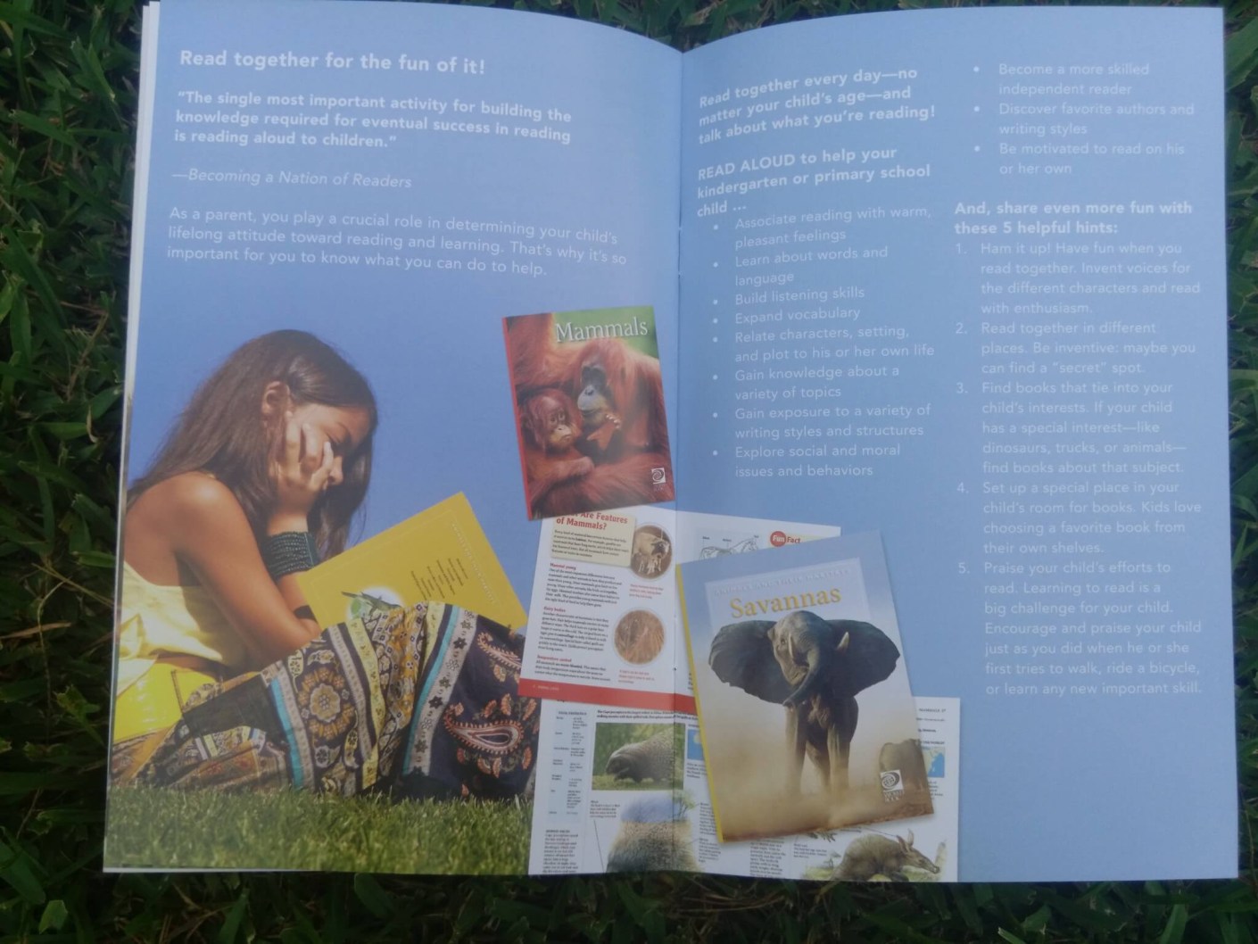 World Book Expert Explorers Subscription Box Review + FIRST BOOK FREE ...