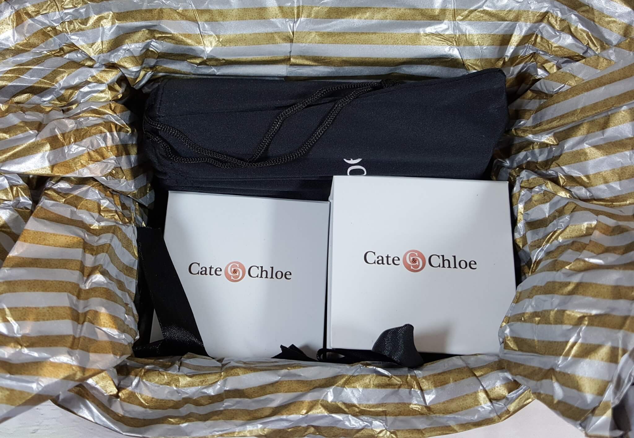 Cate & Chloe VIP Jewelry Subscription Box Review - September 2016 ...