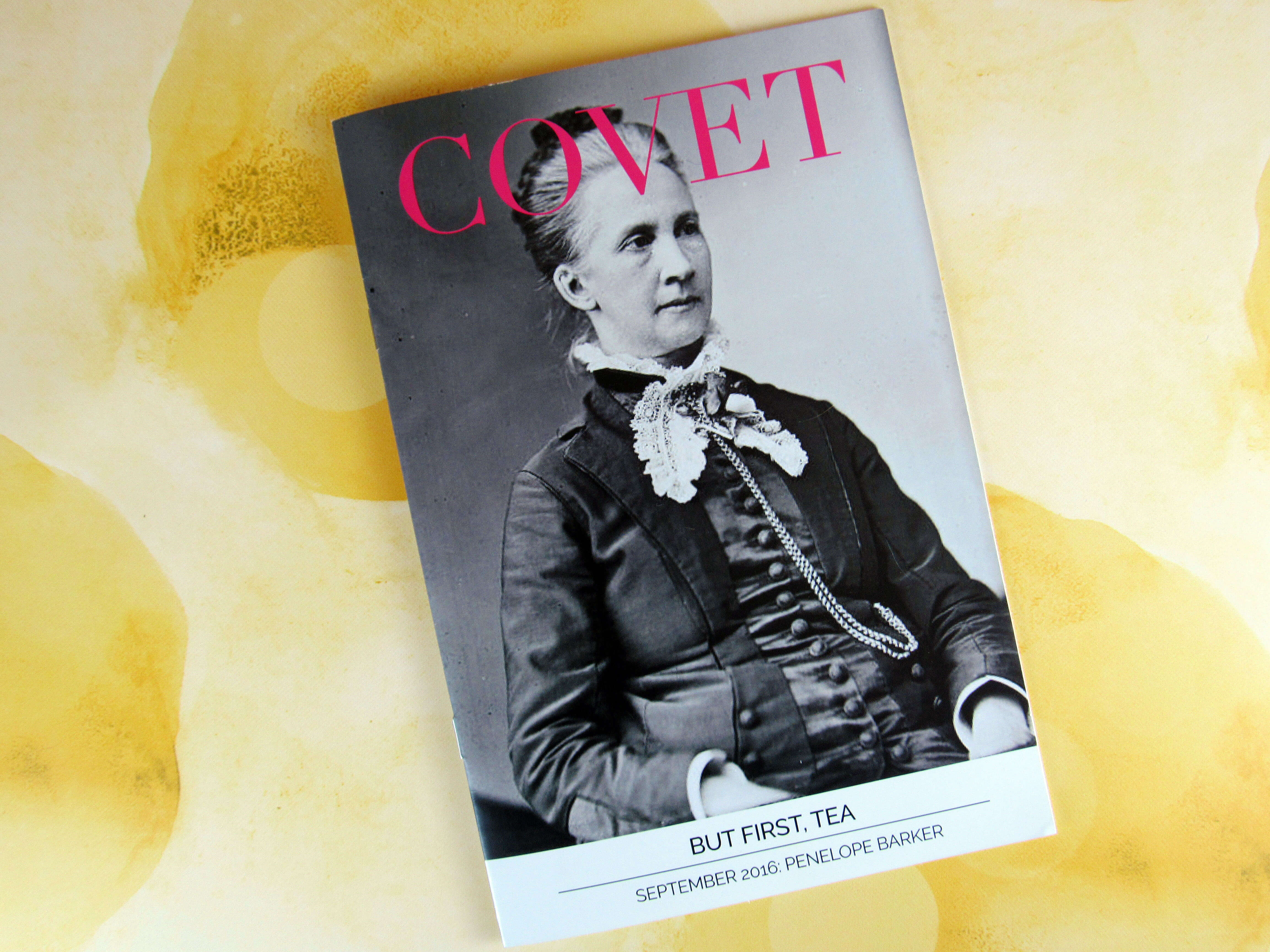 Covet Crate September 2016 Subscription Box Review + Coupon - Hello ...