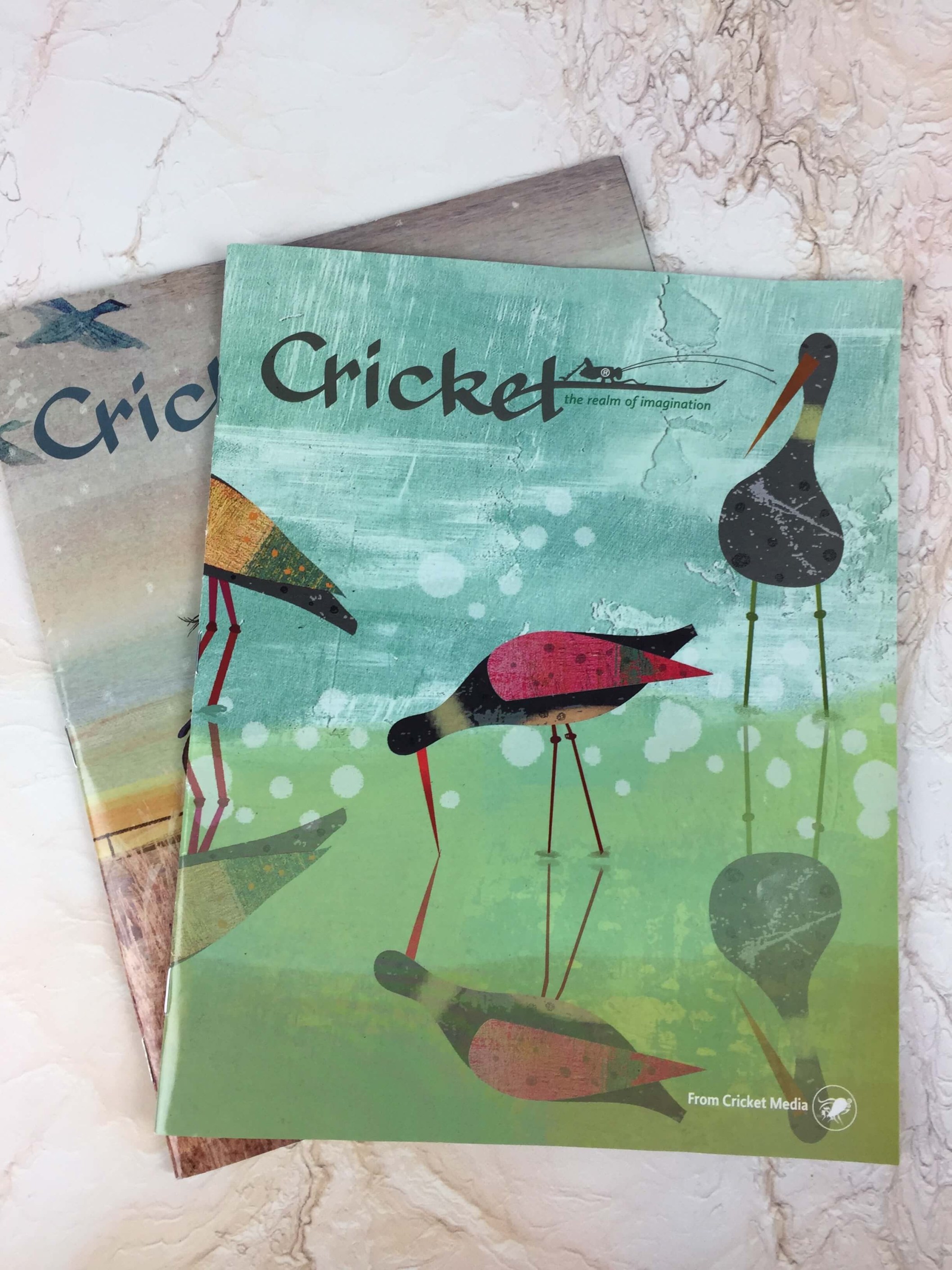 Cricket Magazine Subscription Review - Hello Subscription