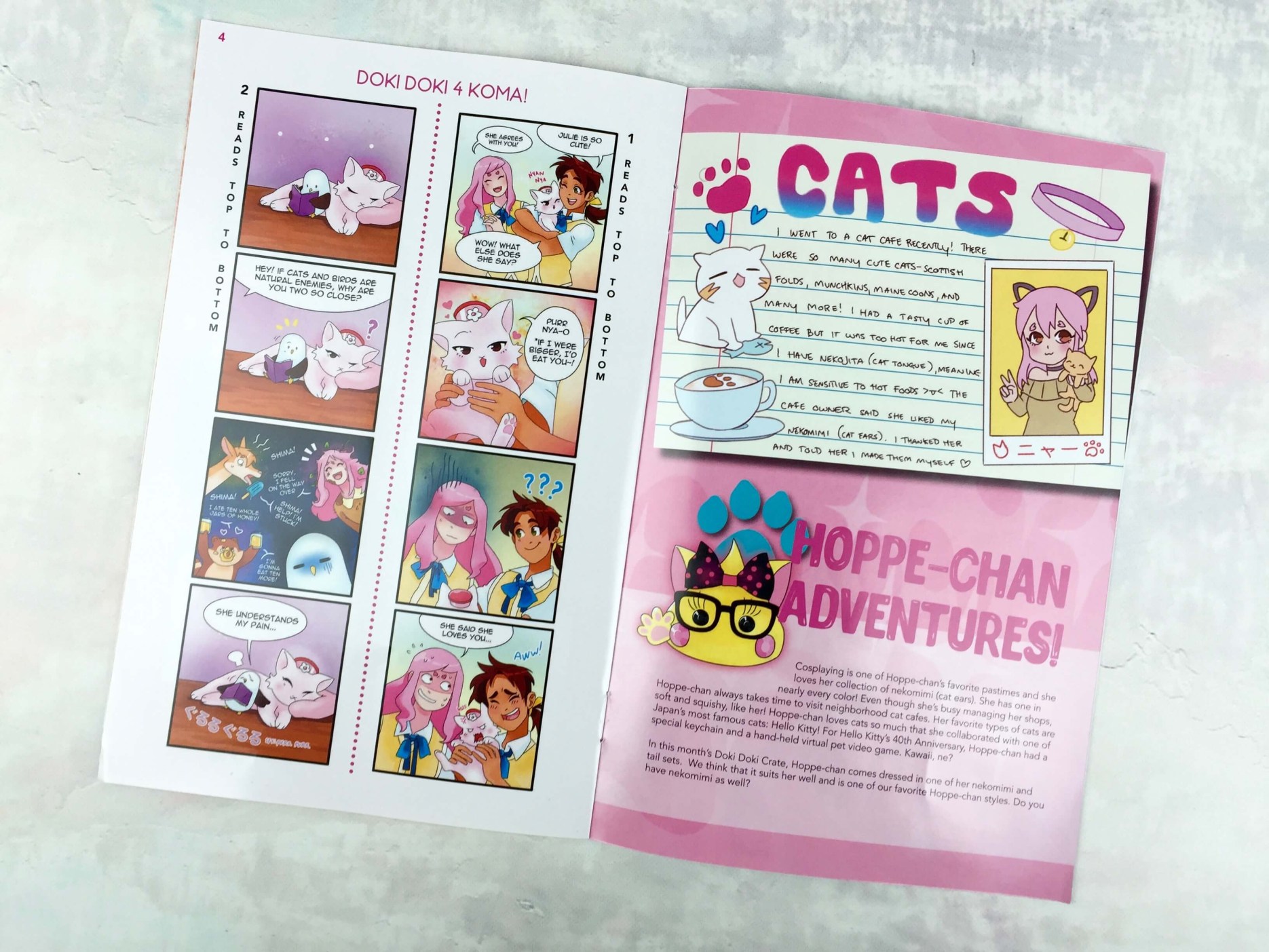 Doki Doki September 2016 Subscription Box Review & Coupon - Hello ...