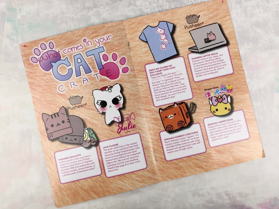 Doki Doki September 2016 Subscription Box Review & Coupon - Hello ...