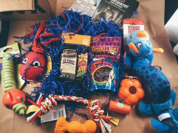 Buster Box Subscription Box Review + Coupon – August 2016 - Hello ...