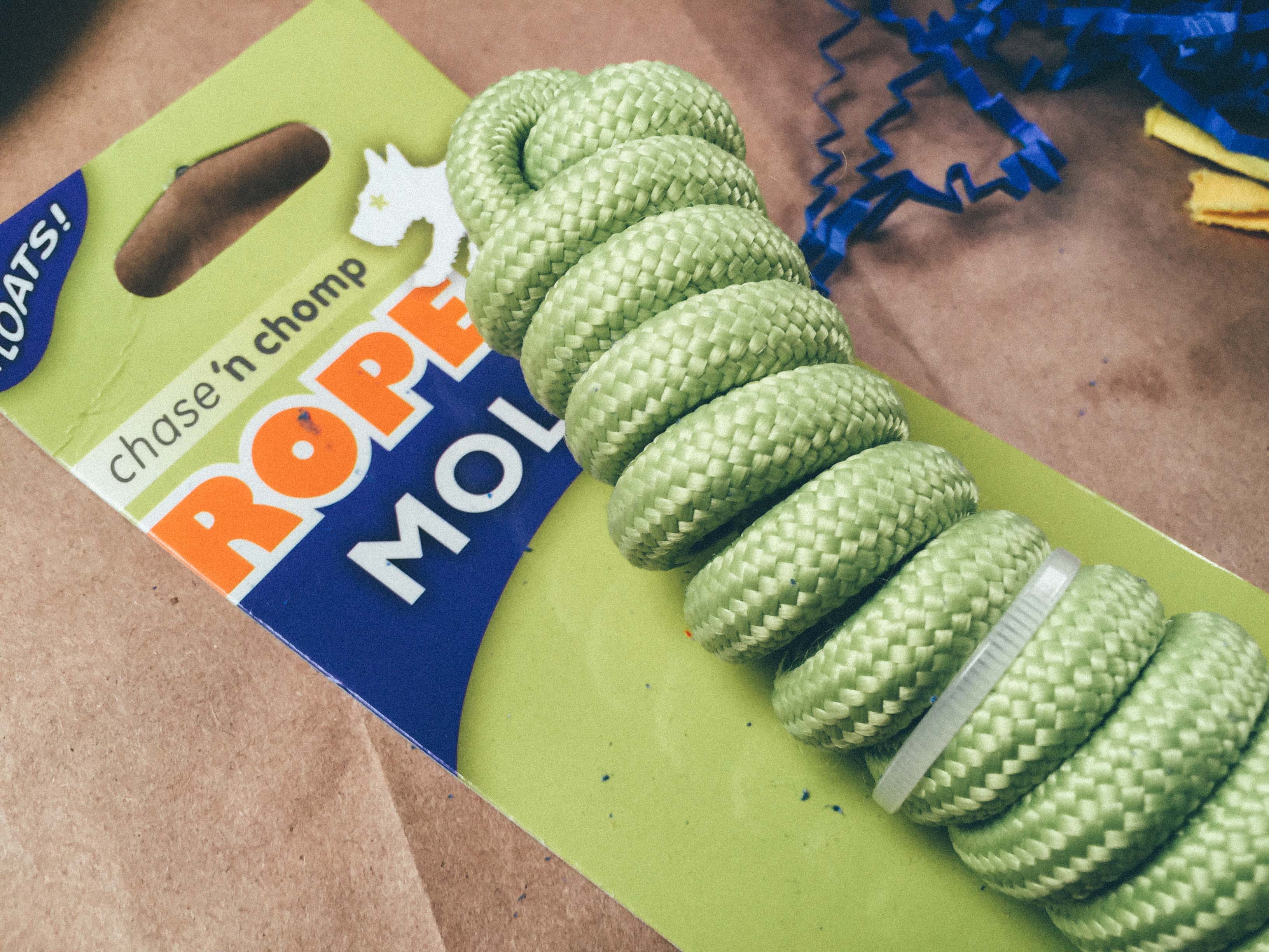 Buster Box Subscription Box Review + Coupon – August 2016 - Hello ...