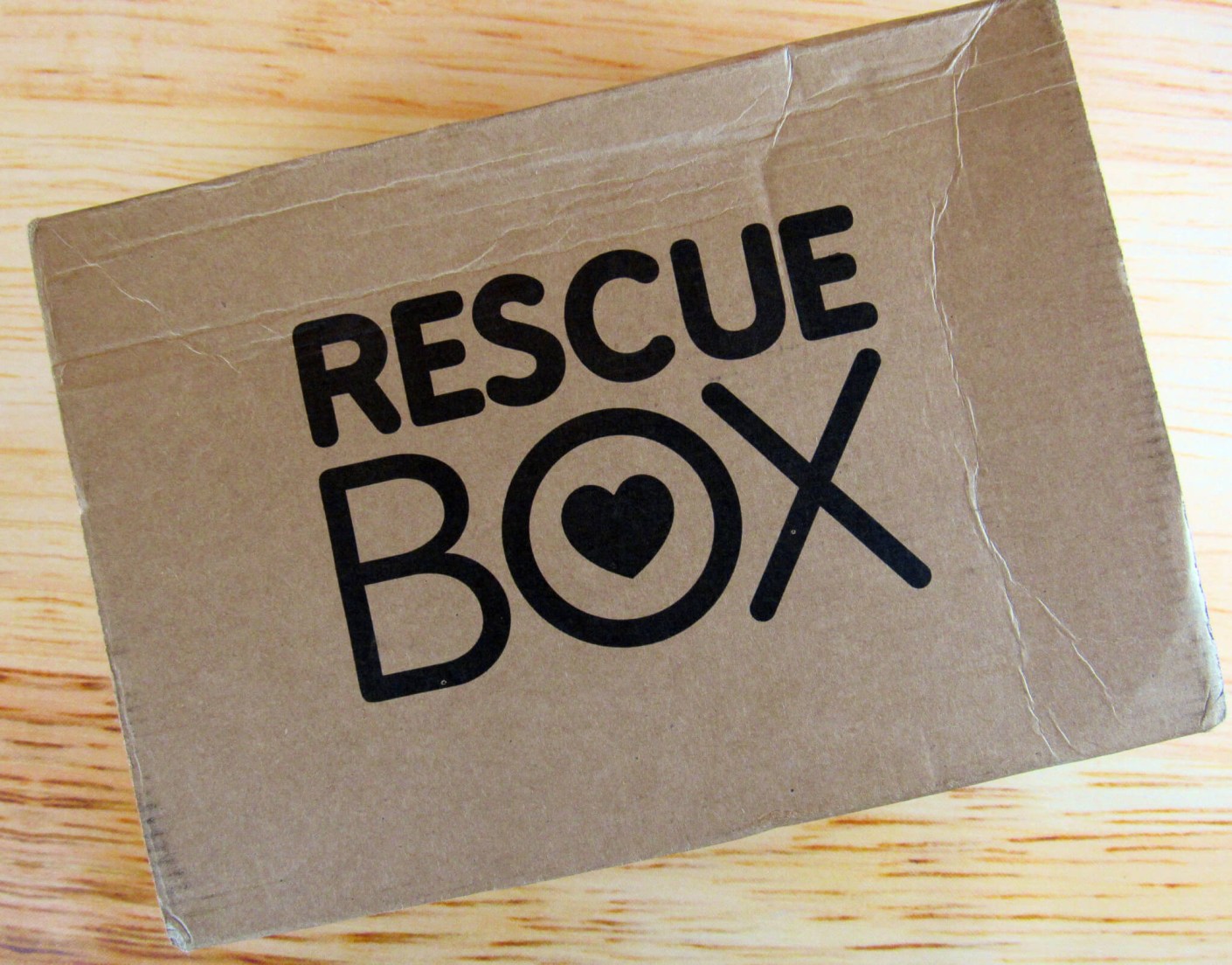 RescueBox Cat August 2016 Subscription Box Review - Hello Subscription
