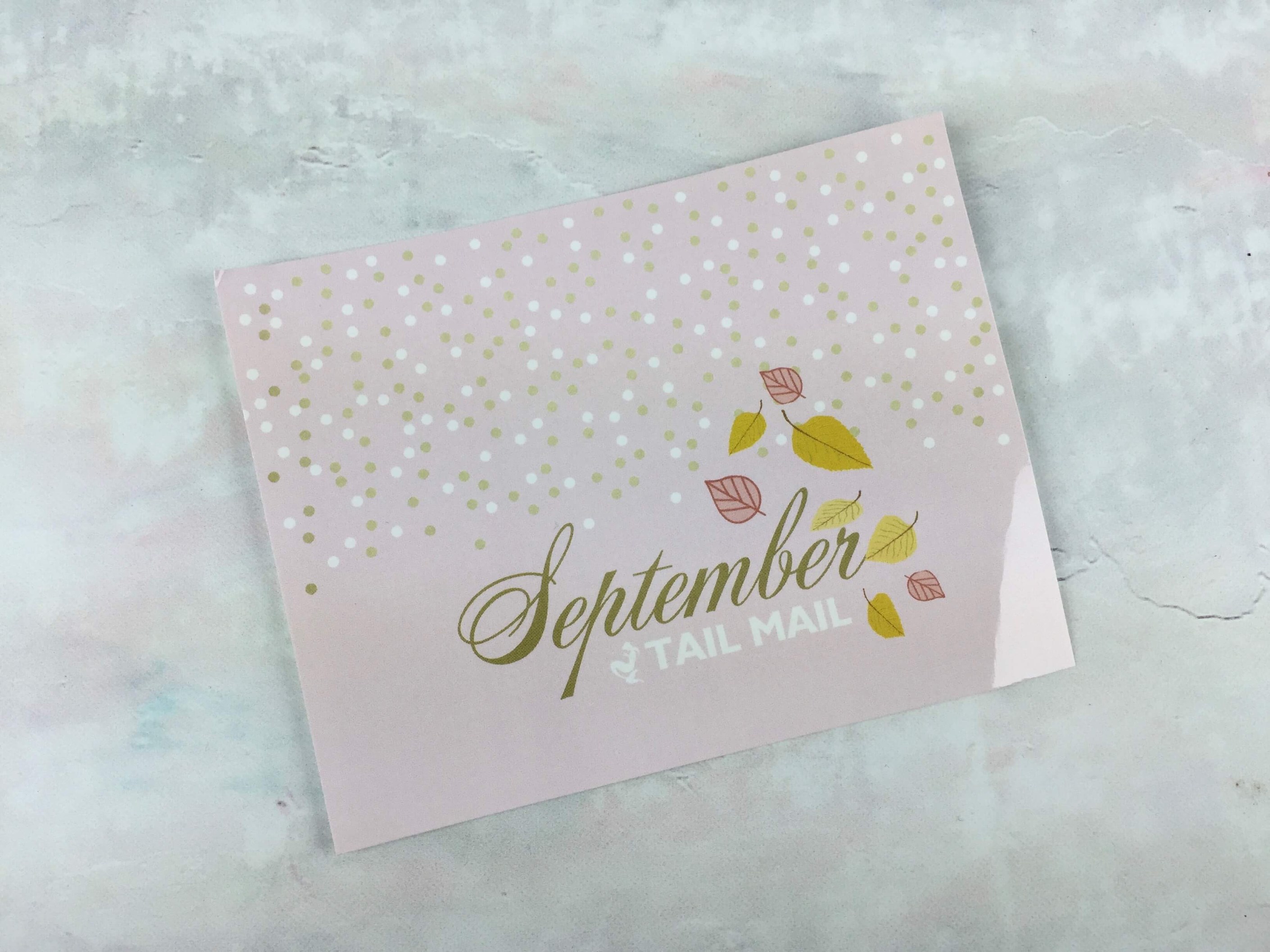 Tail Mail September 2016 Subscription Box Review - Hello Subscription